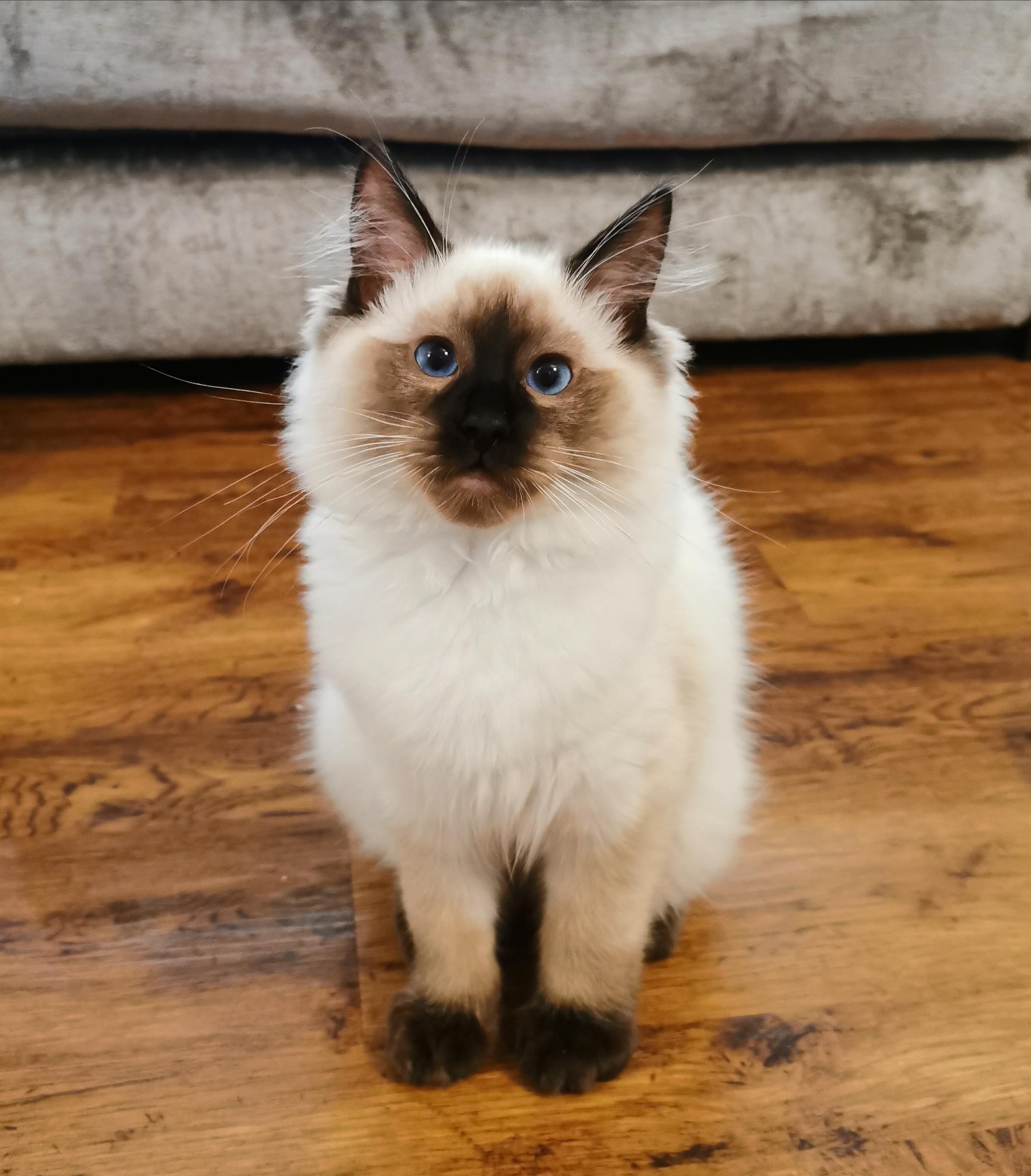 My handsome boy | Scrolller