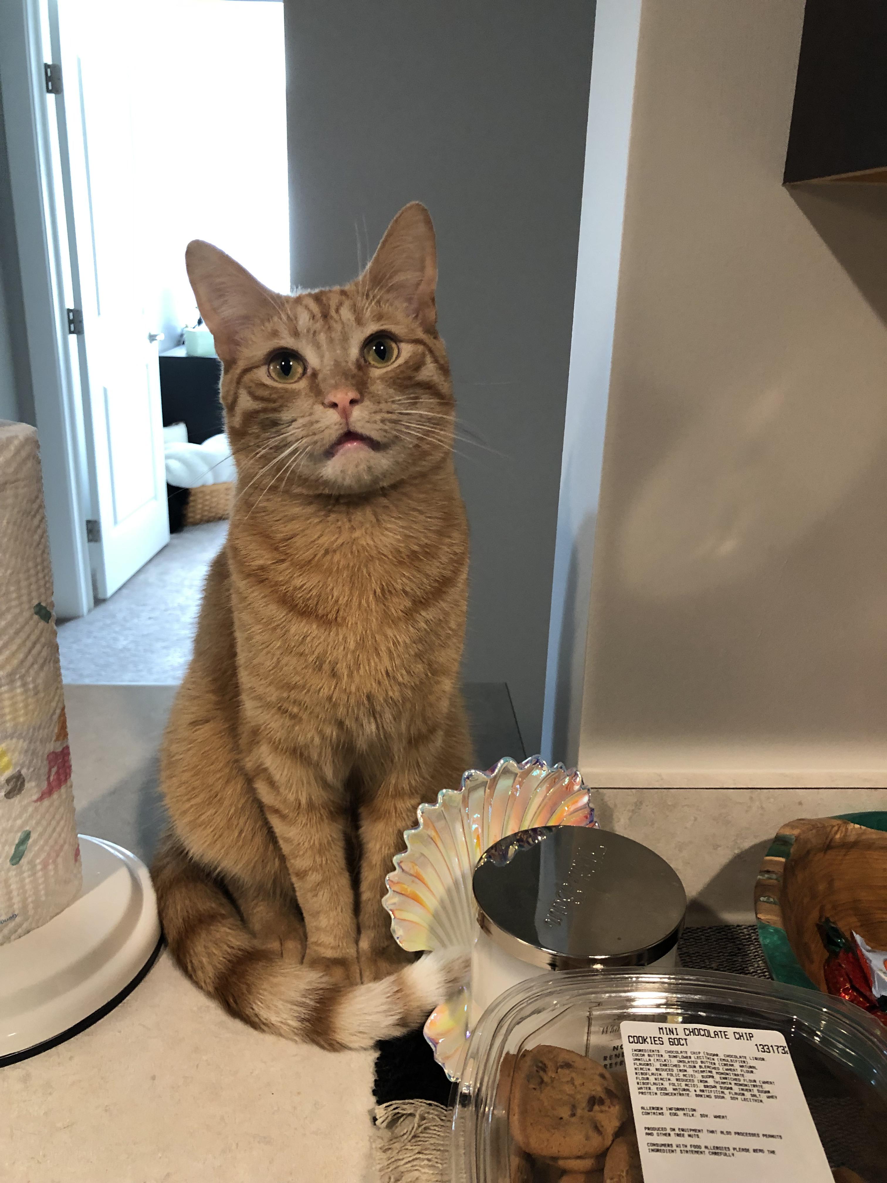 My handsome Len 💙 | Scrolller