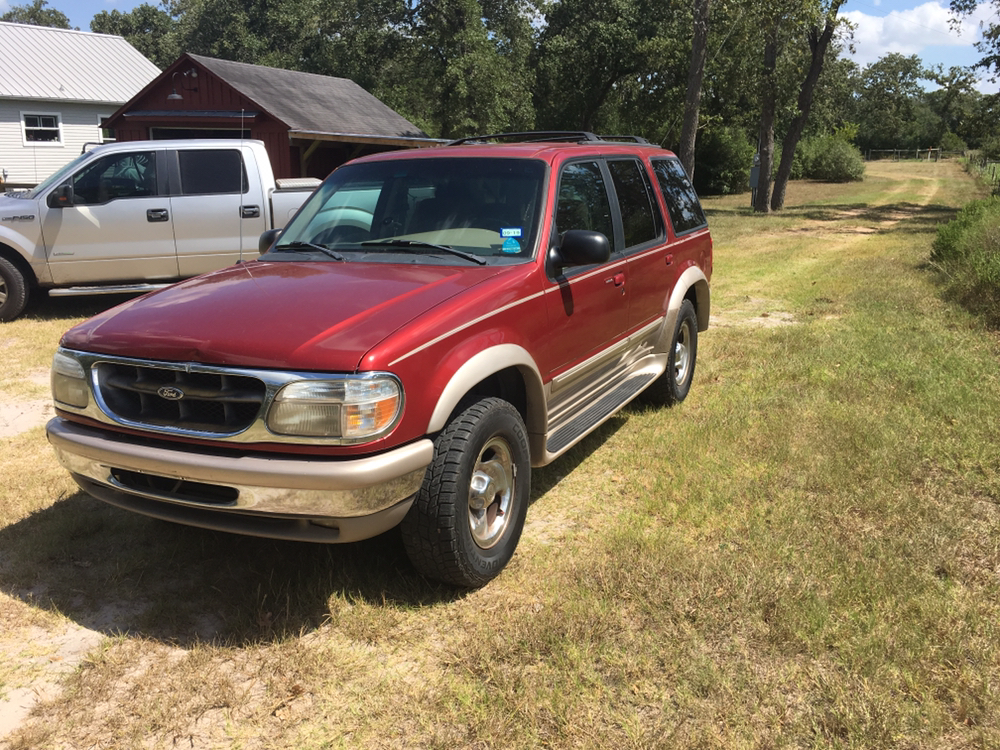 My handsome old boy | Scrolller