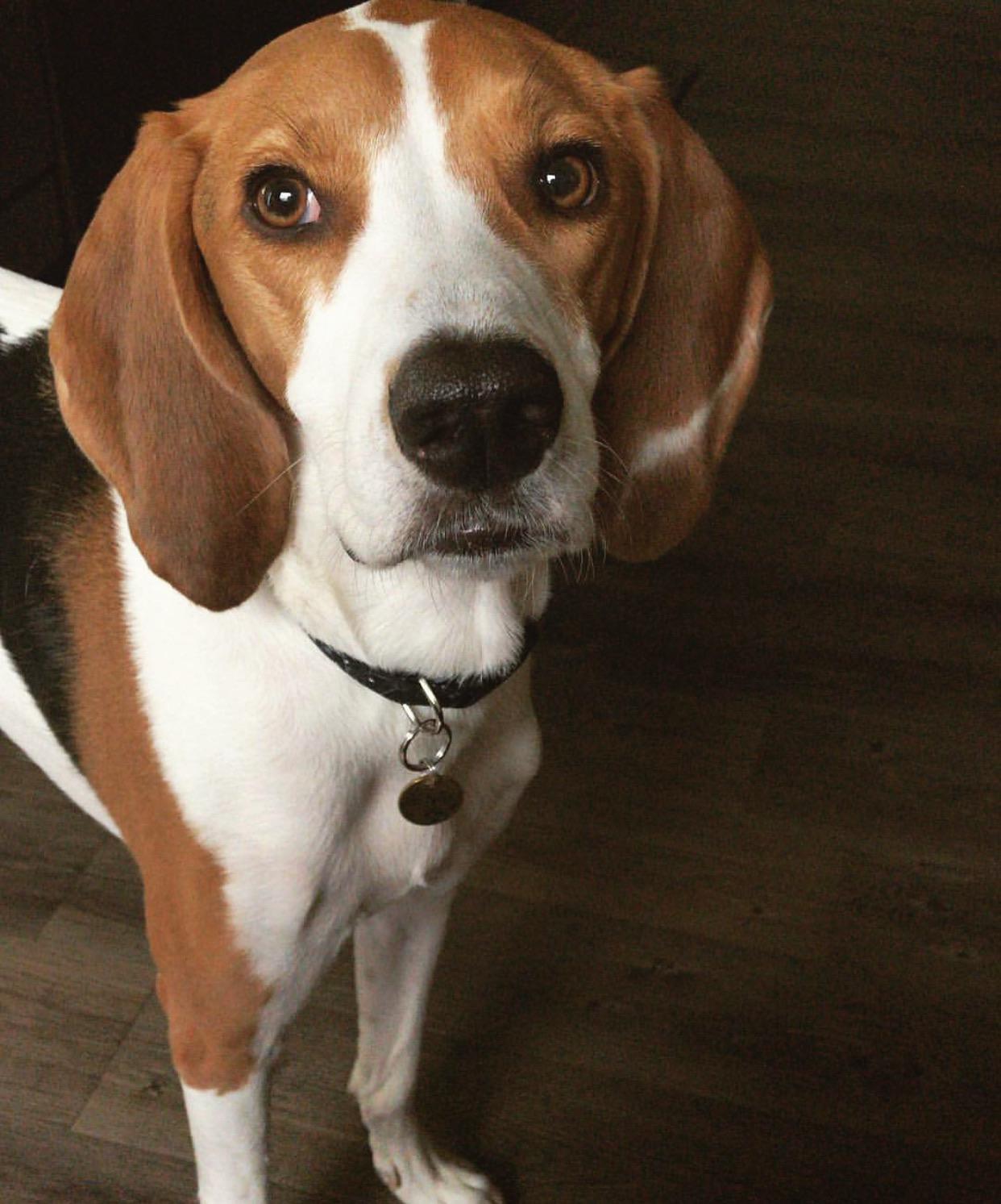 My handsome TWC | Scrolller