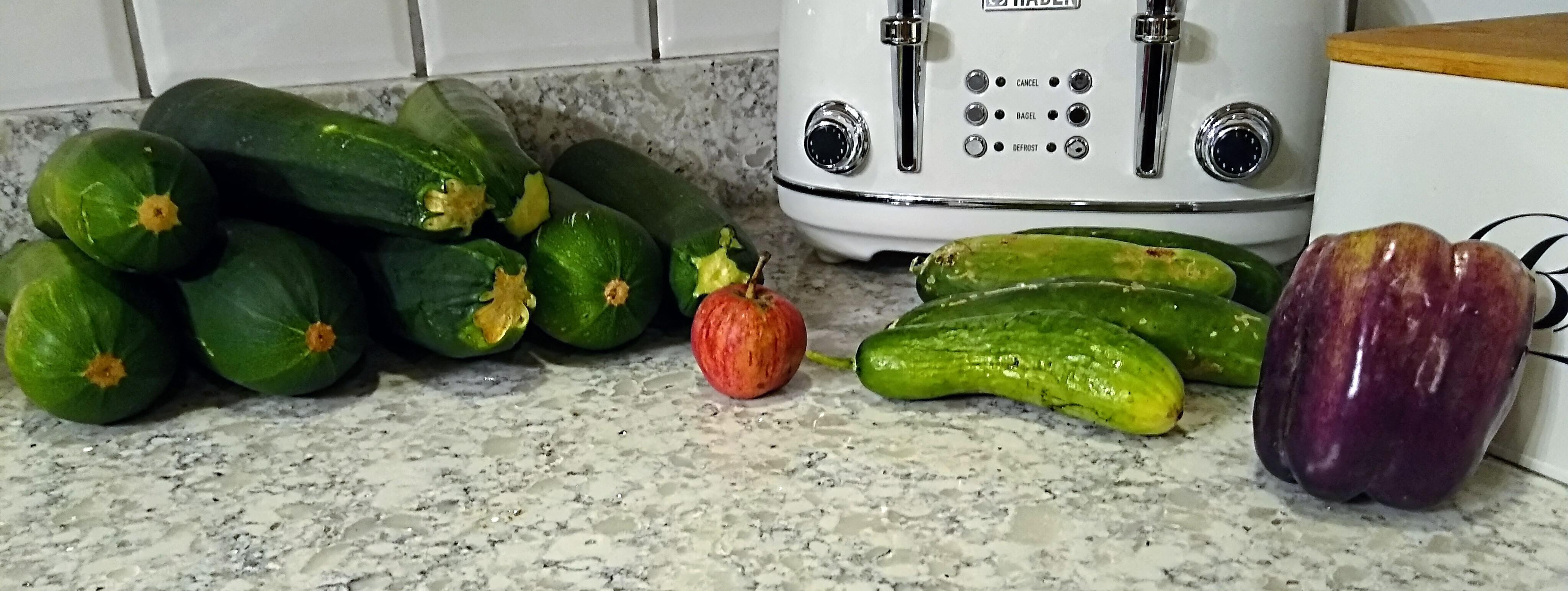 My harvest so far! Zucchini, apple, cucumber, bell pepper | Scrolller