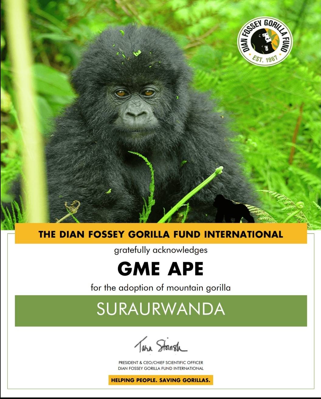 My humble contribution: 1 Share and 1 Ape 🦍💎🙌🚀 | Scrolller