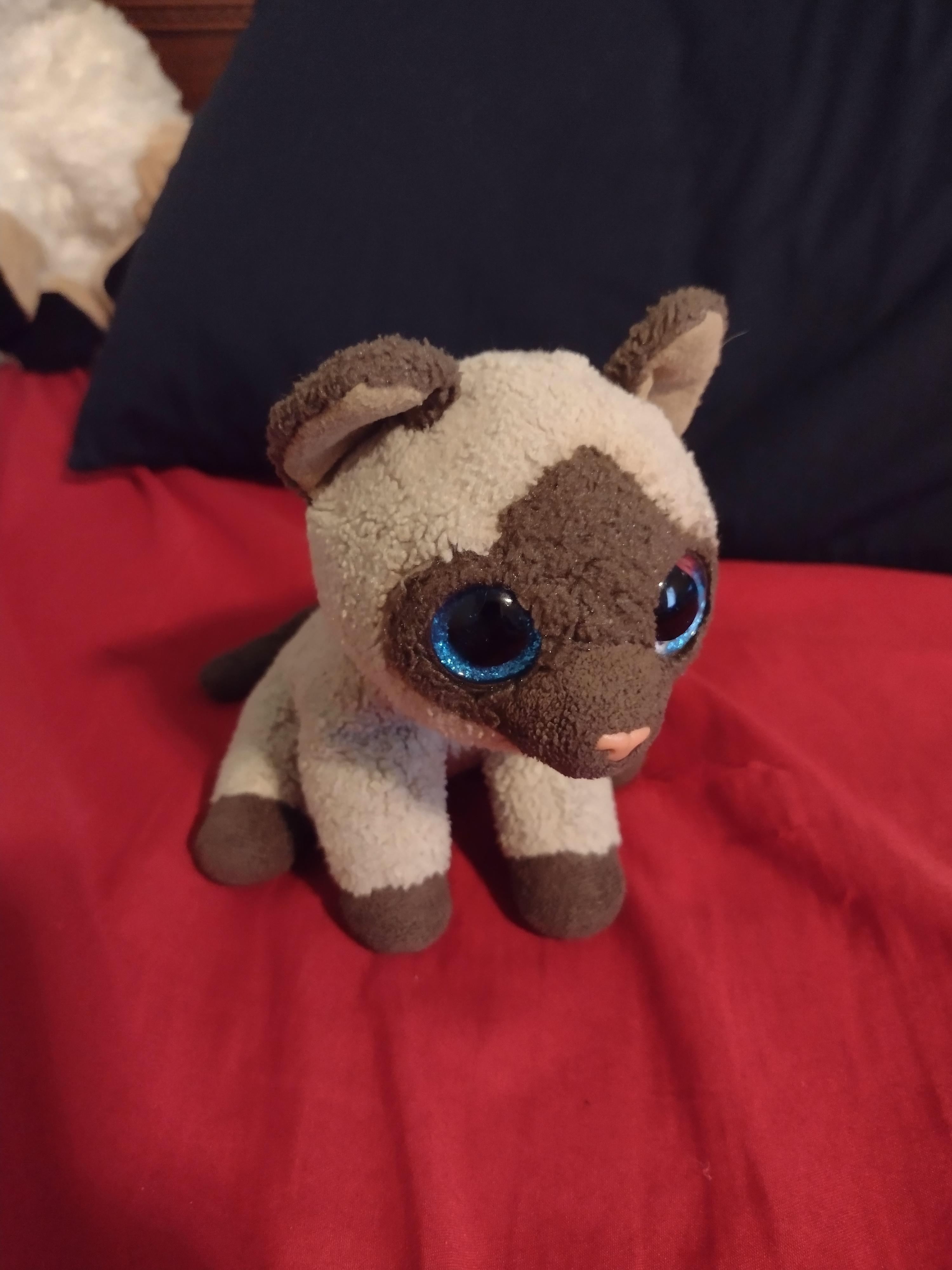 My Jake Scrolller