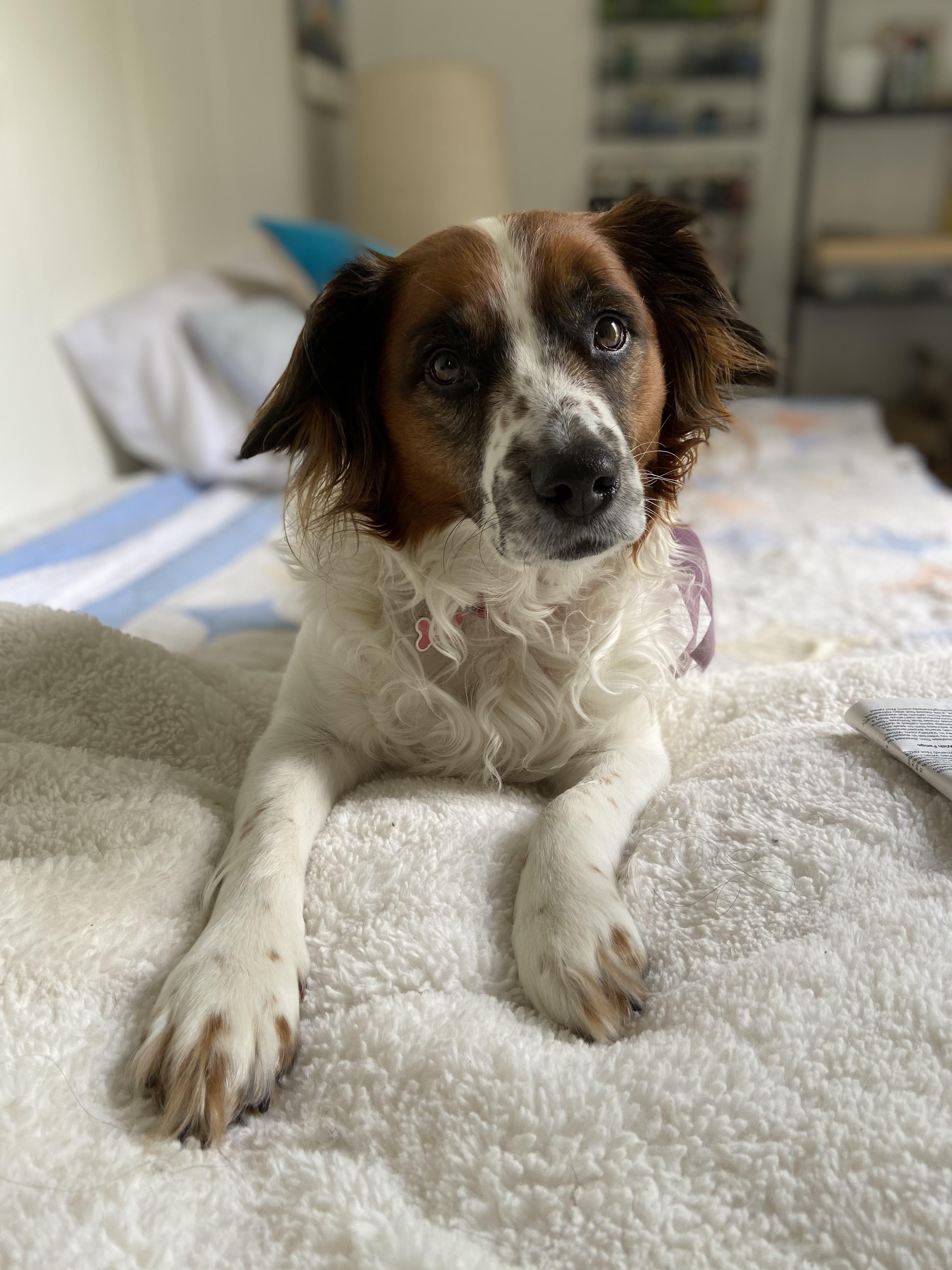 My kooky Koiky strikes again | Scrolller