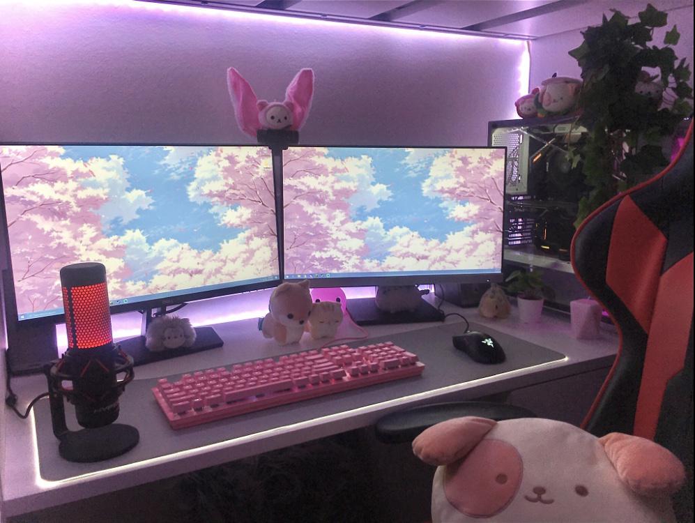 My lil bunk bed setup! | Scrolller