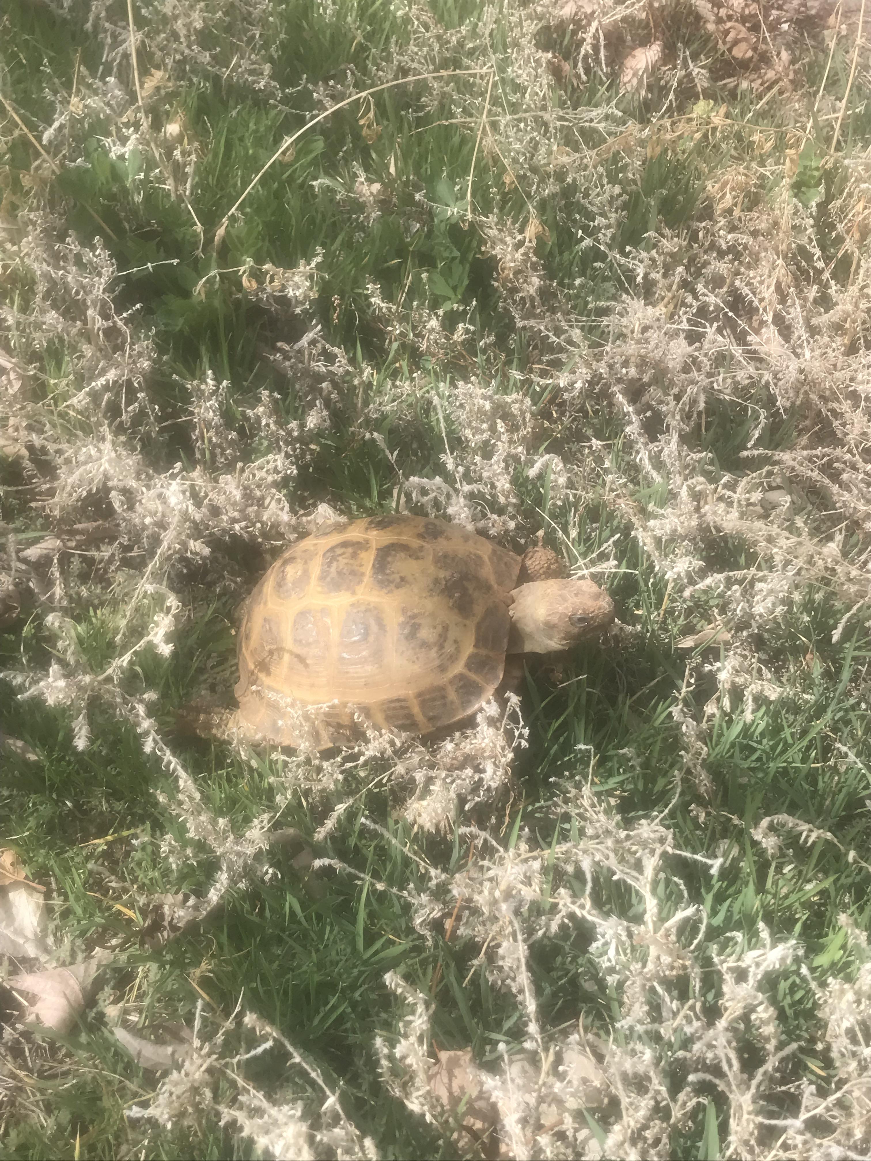 My lil guy! | Scrolller