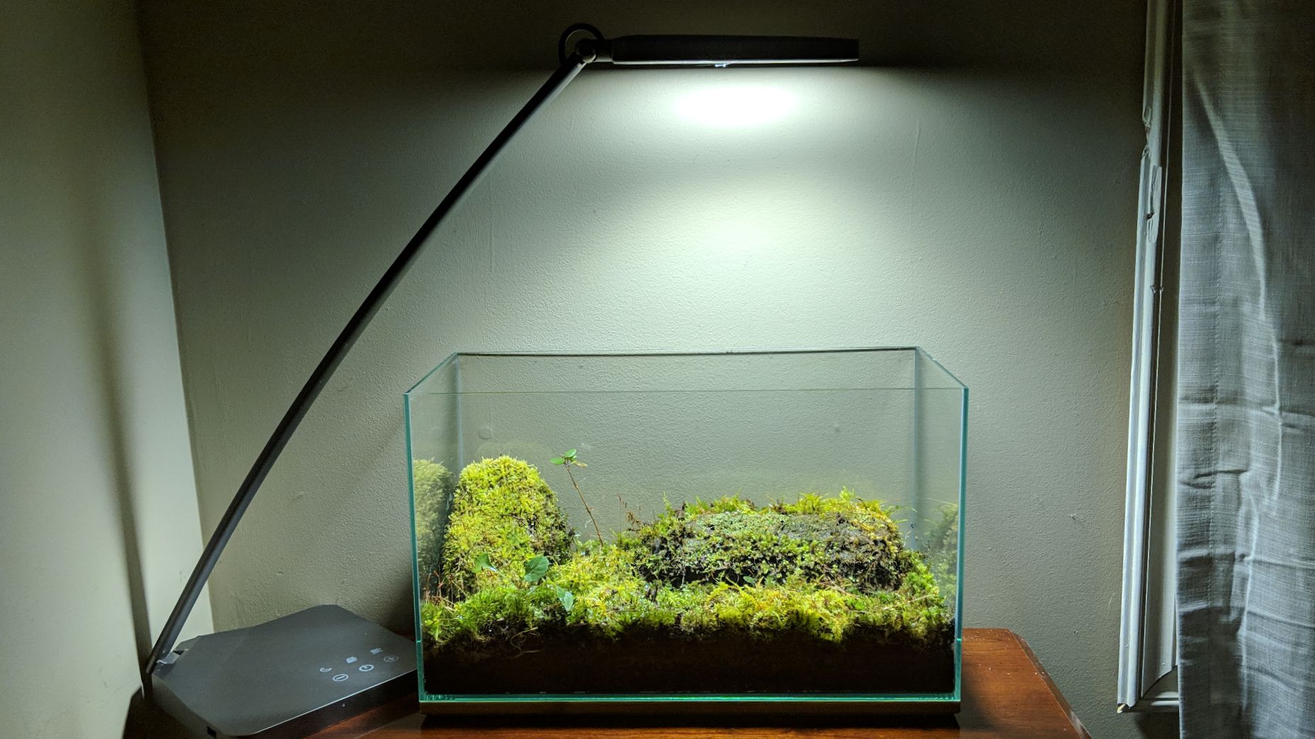 My little box of moss. | Scrolller