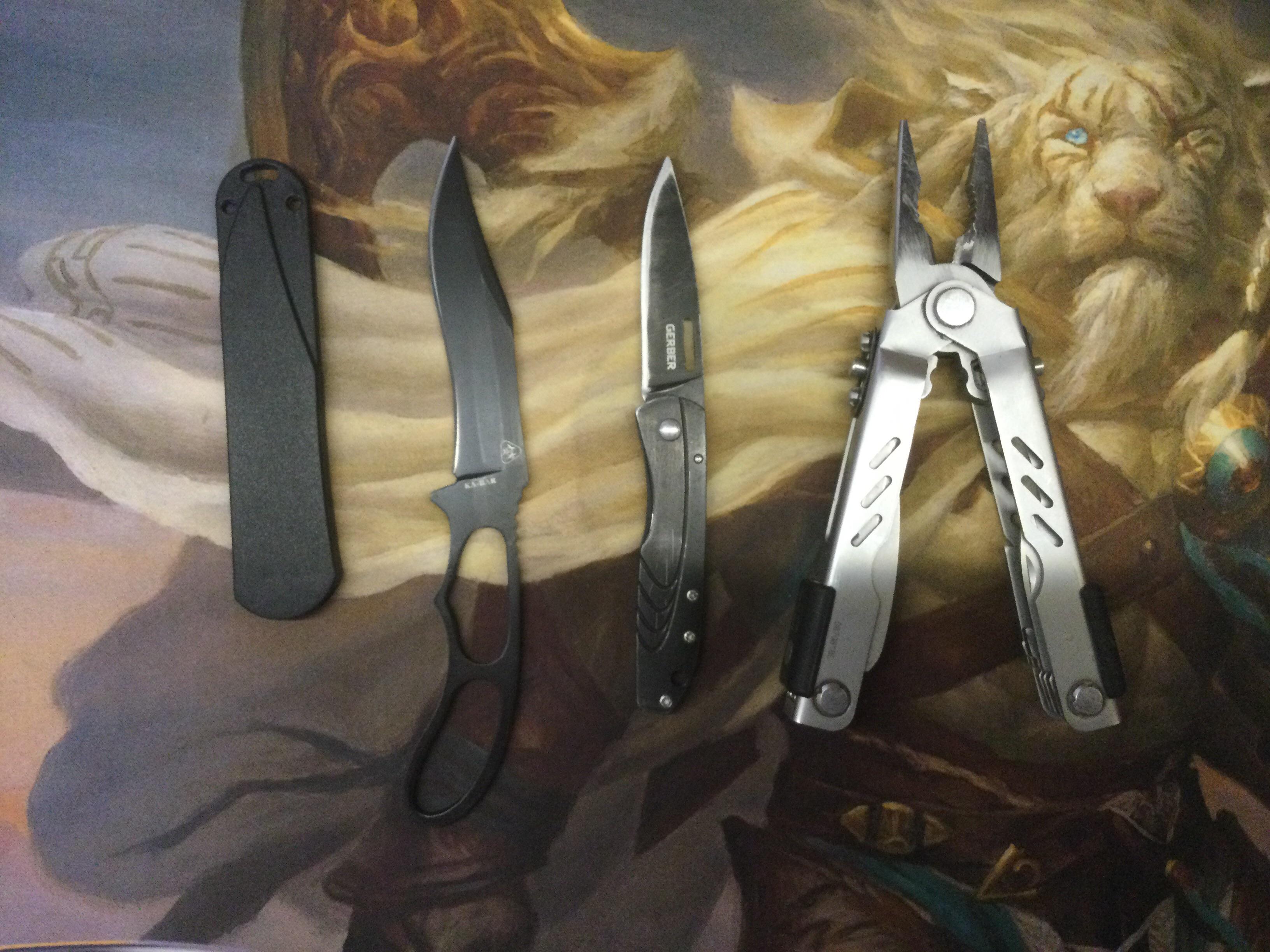 My little EDC. Nothing expensive, just the essential. | Scrolller