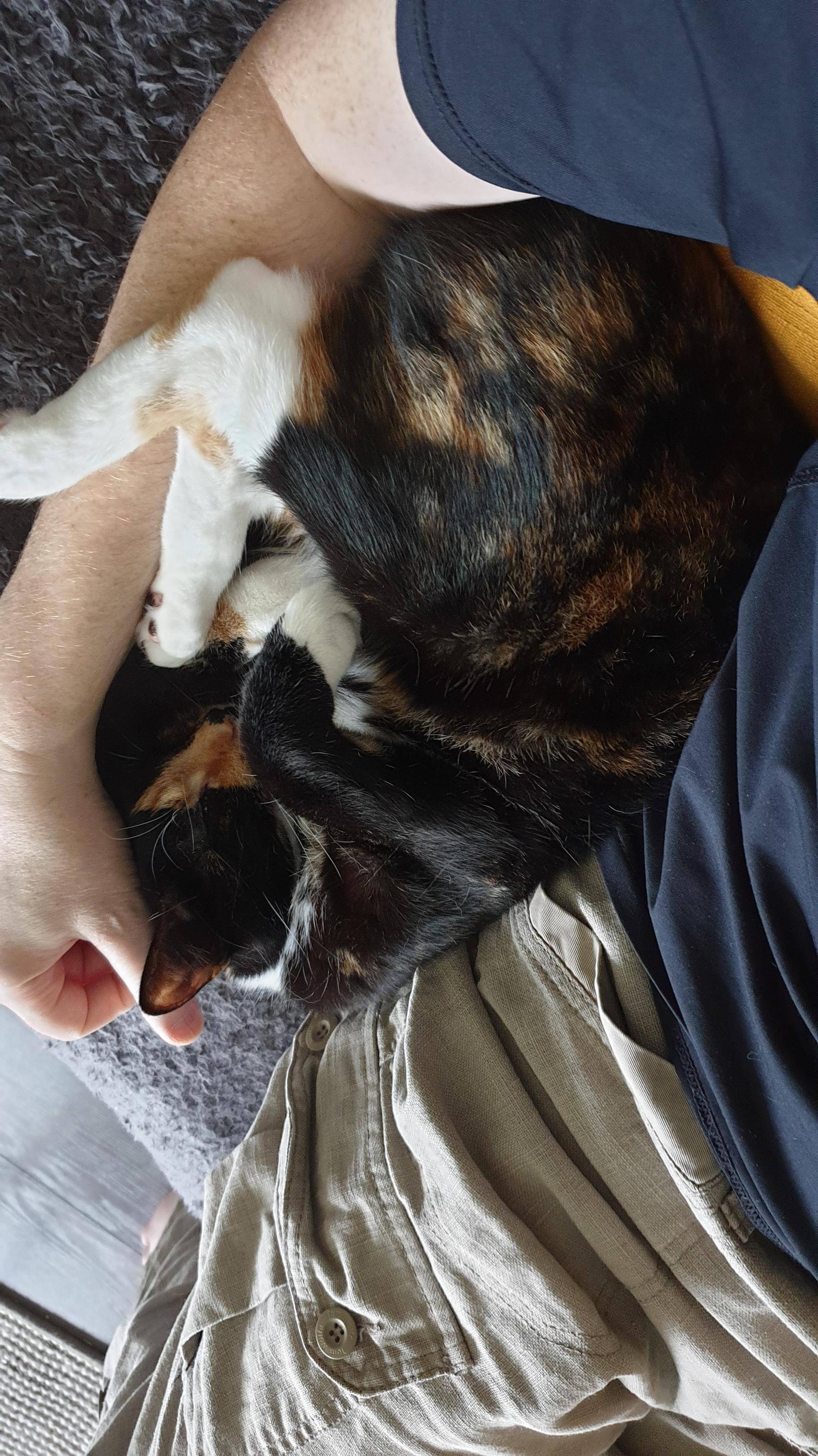 My little lady, Bob | Scrolller