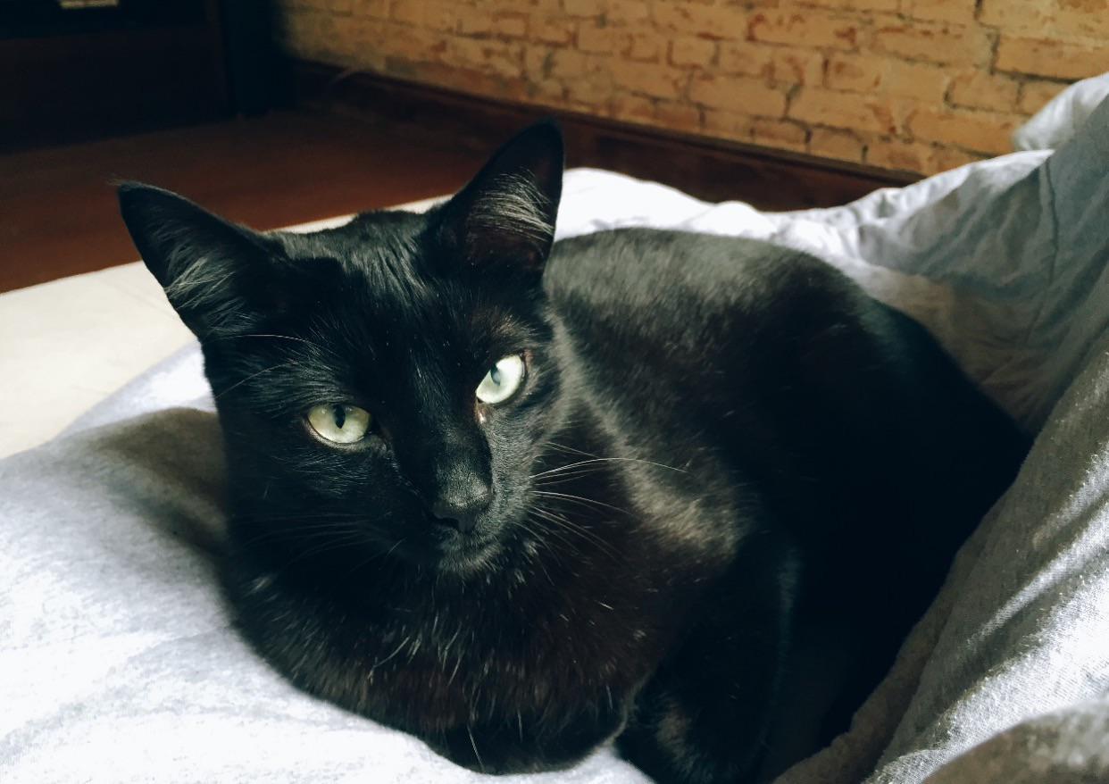 My little void ️ | Scrolller