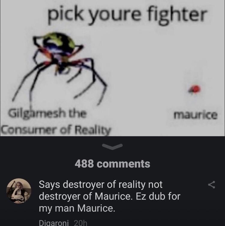 My man Maurice the destroyer of Gilgamesh | Scrolller