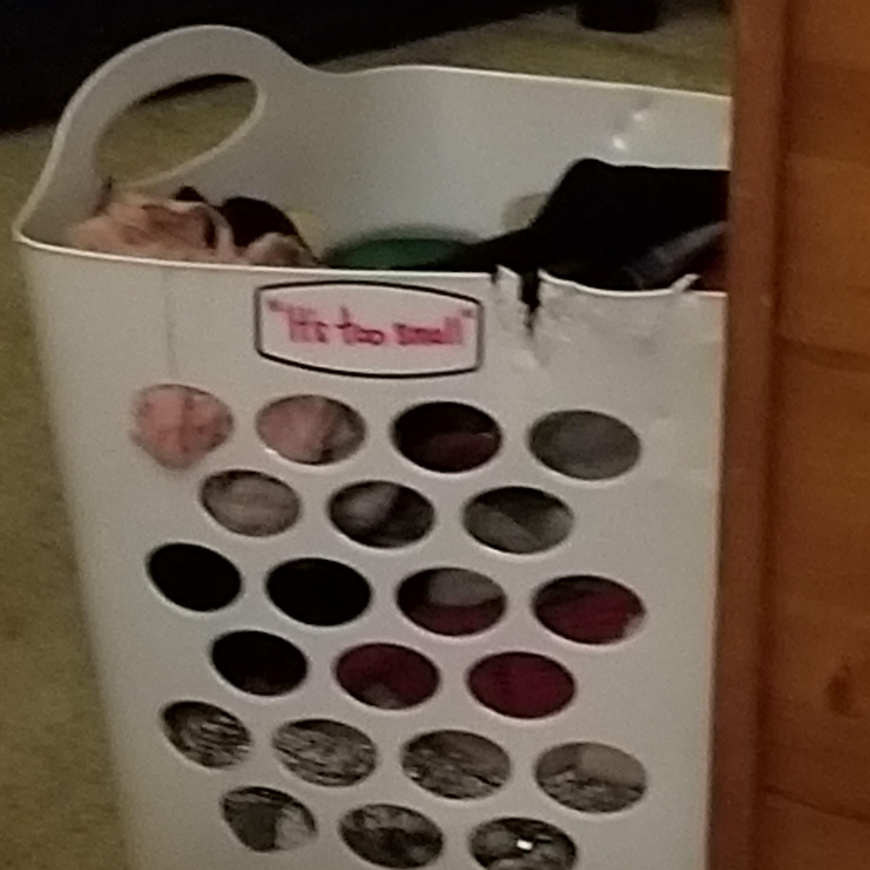 My mom's laundry baskets | Scrolller