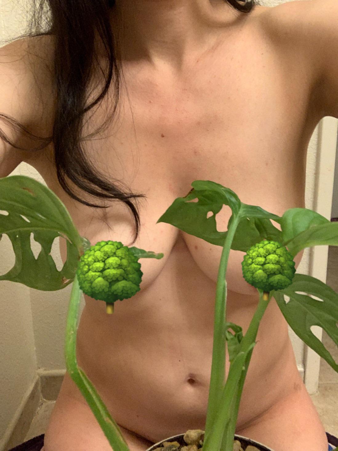 My monstera adansonii | Scrolller