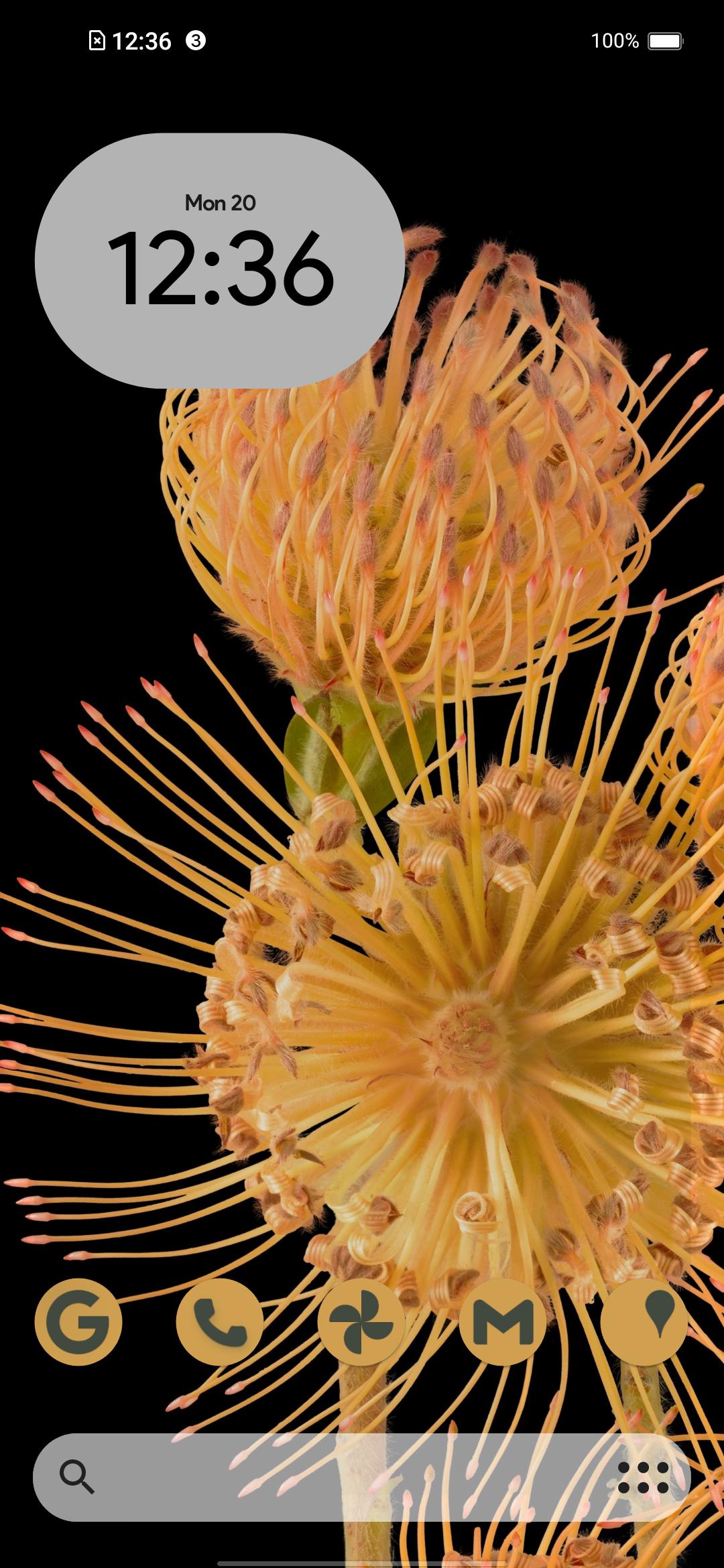 My neat homescreen inspired by Material You, Android 12 and Pixel 6. | Scrolller