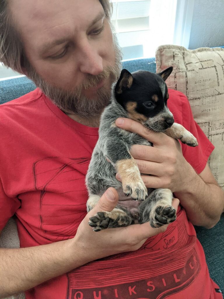 My new little girl Ziggy. | Scrolller