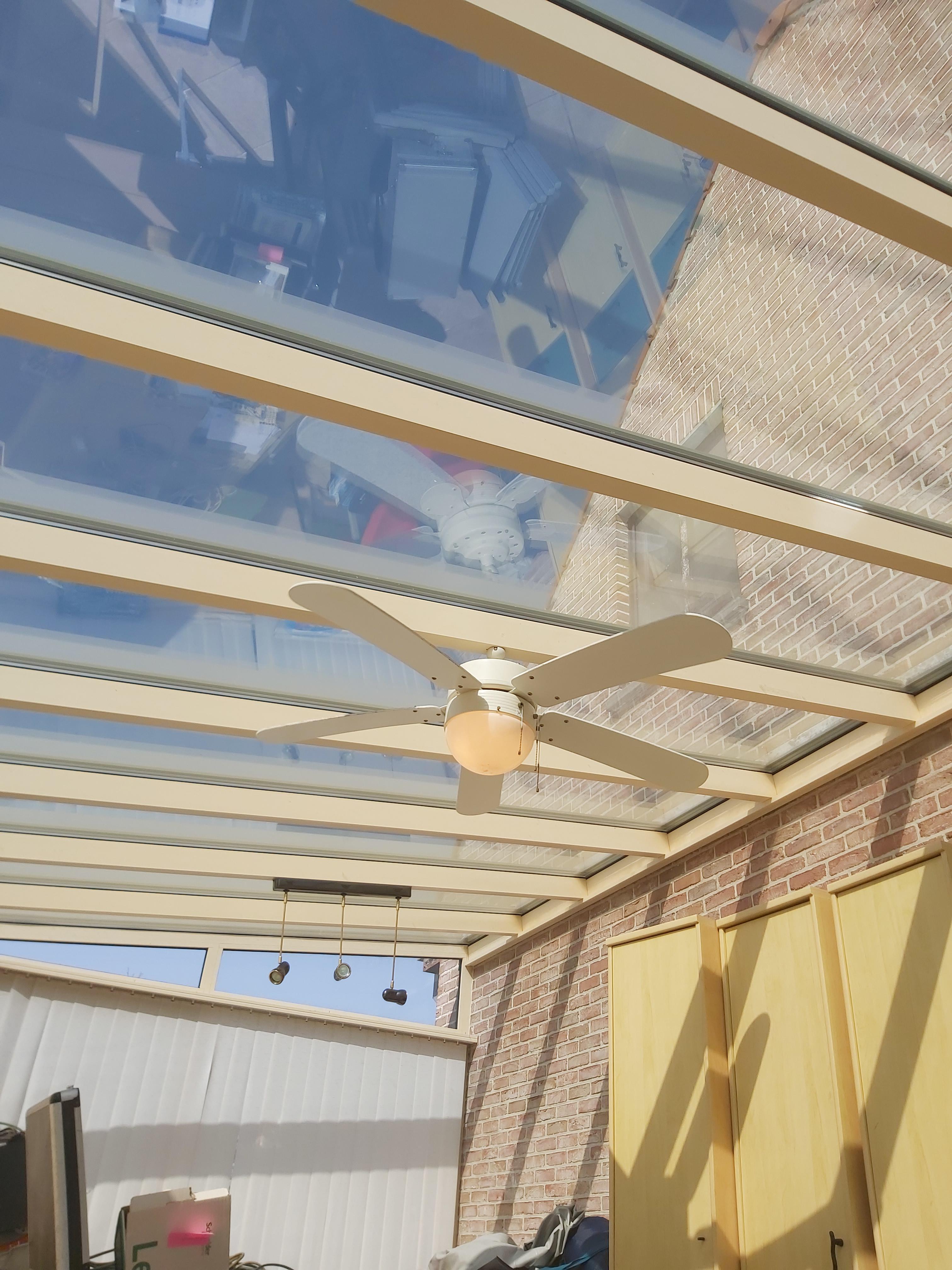 My one and only fan | Scrolller