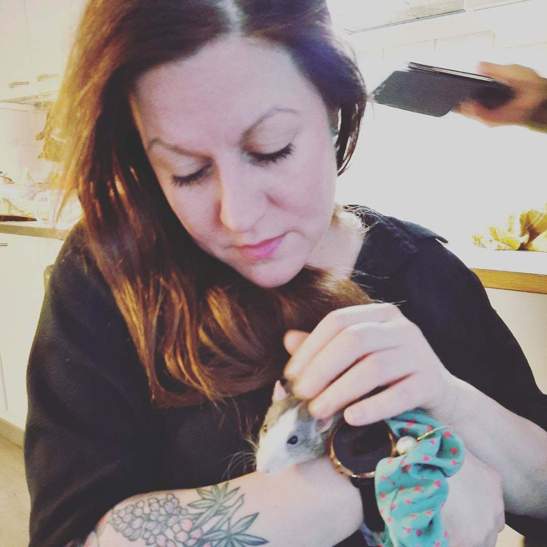 My one but not the only. Hilma the rat | Scrolller