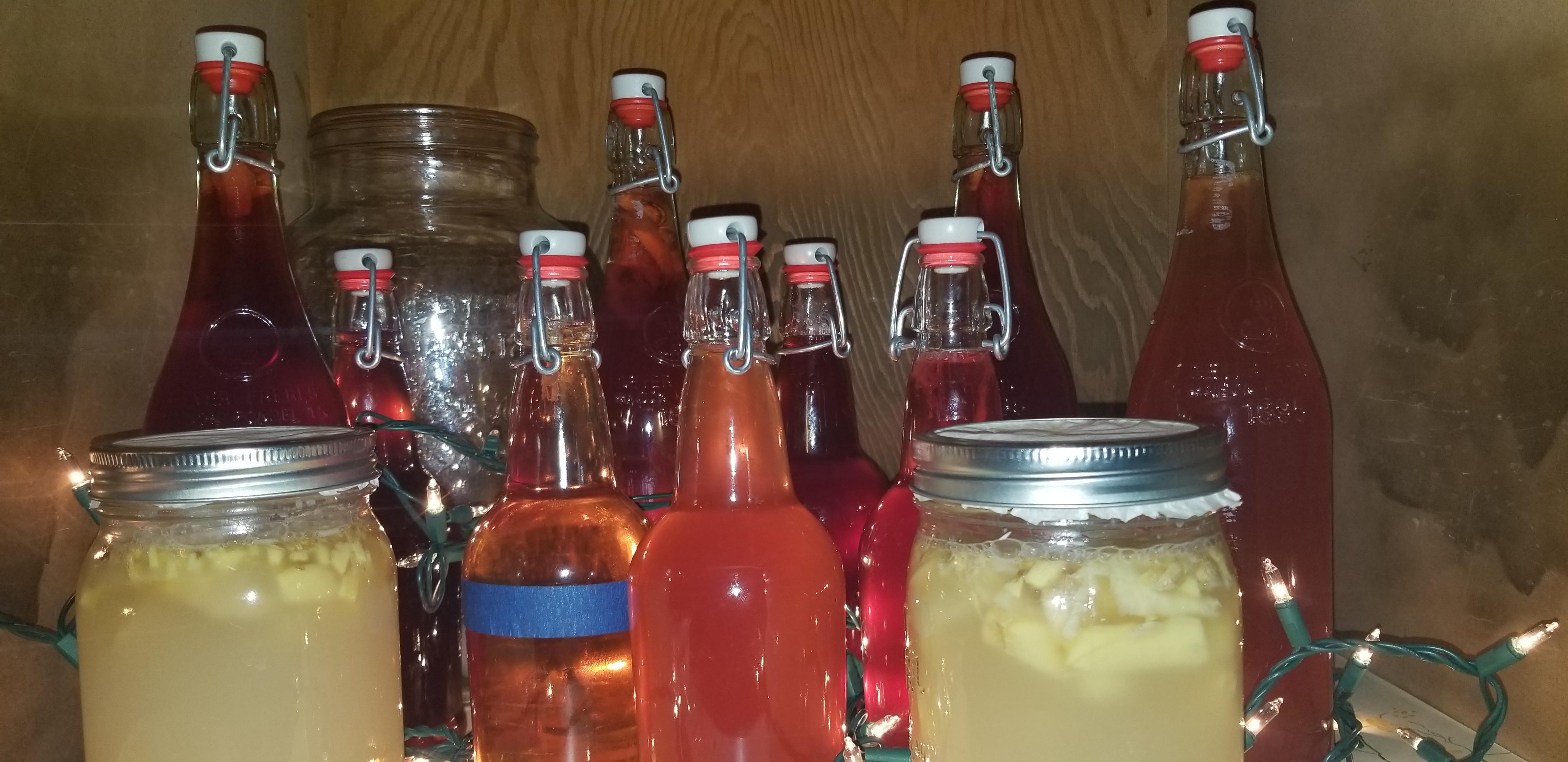 My passion ginger bug and kombucha | Scrolller