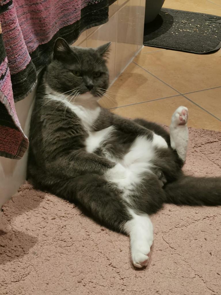 My plans for the weekend | Scrolller