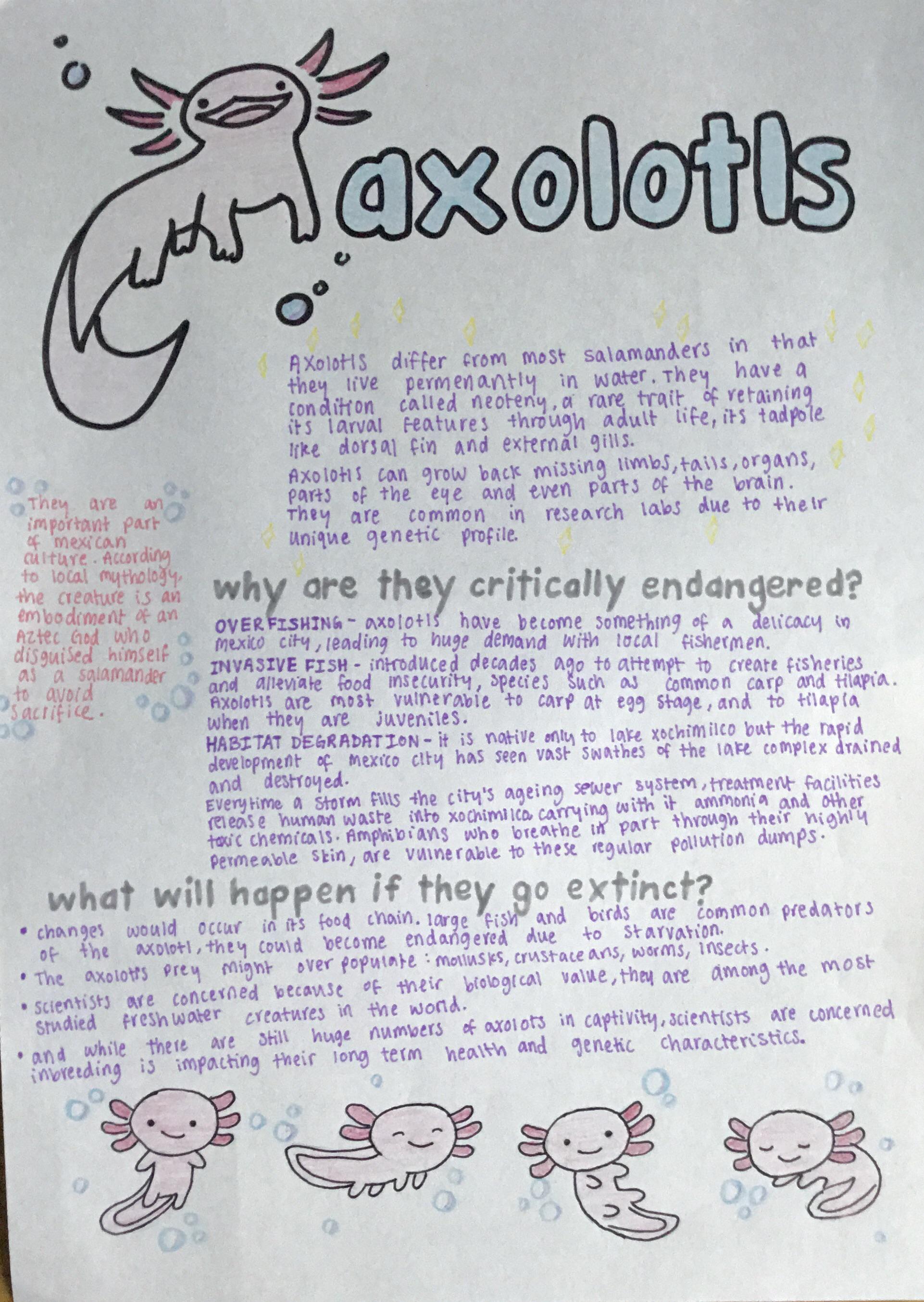My poster for my environmental science class :D | Scrolller