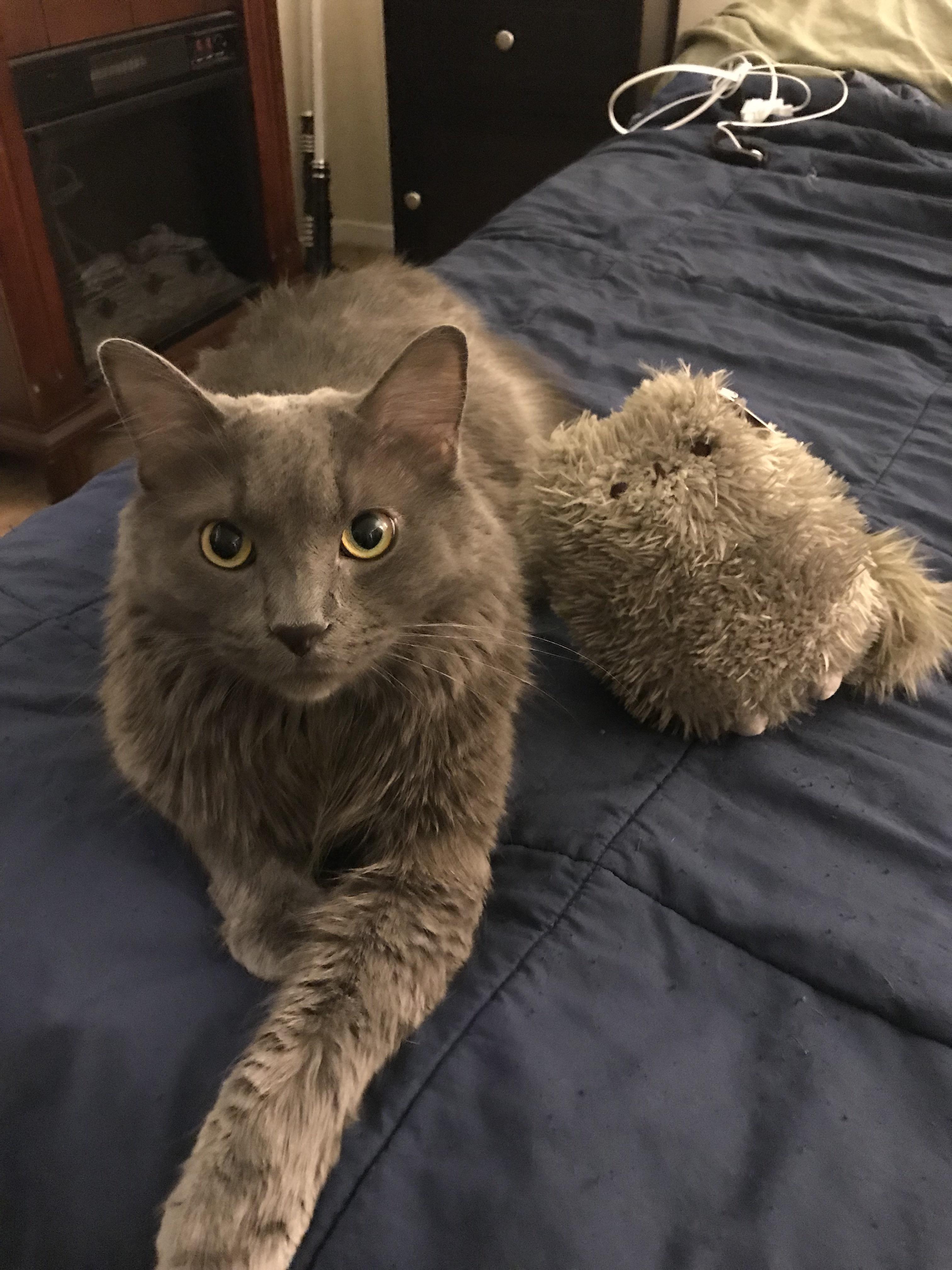 My real life Pip | Scrolller