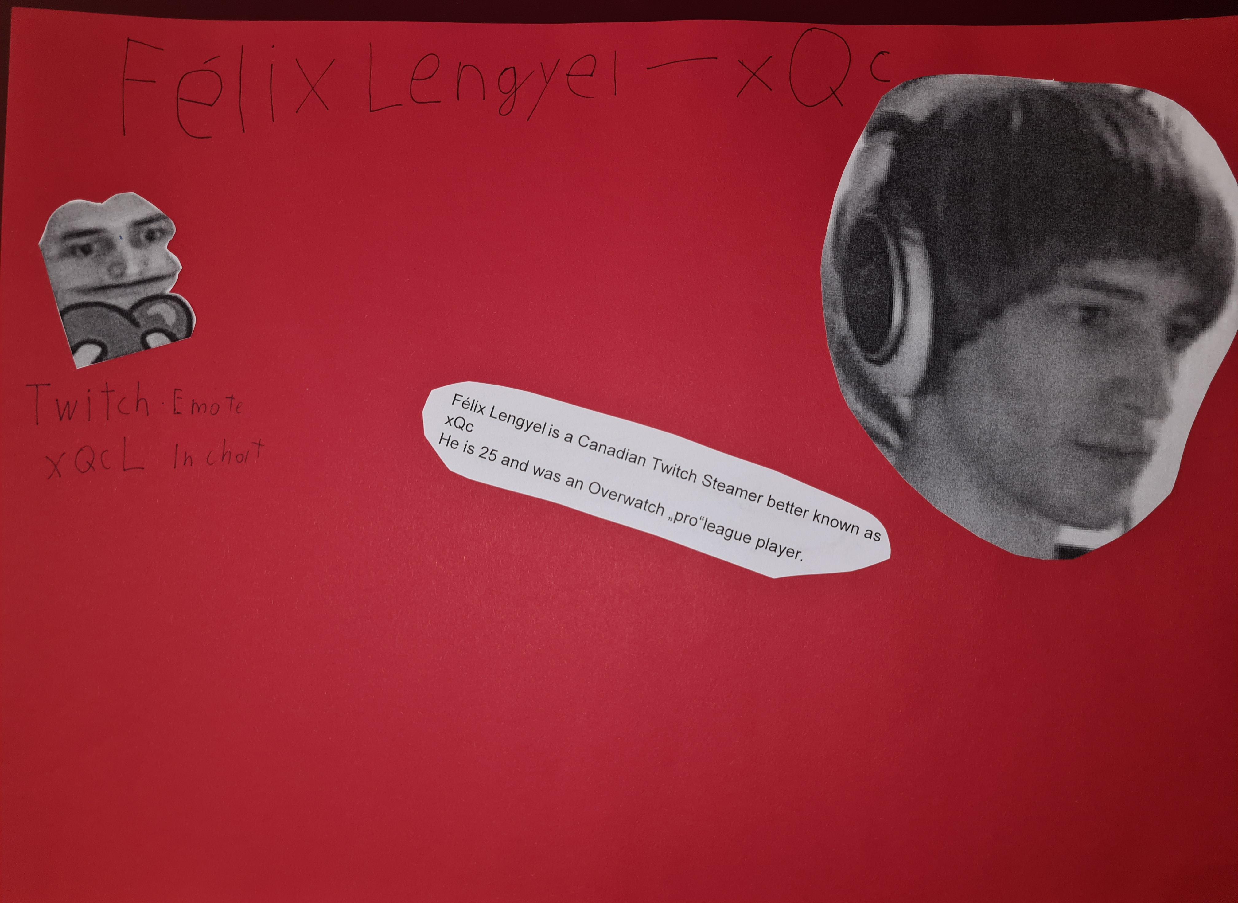 My school project about my role model. Btw my english is pepega cause I'm Austrian | Scrolller