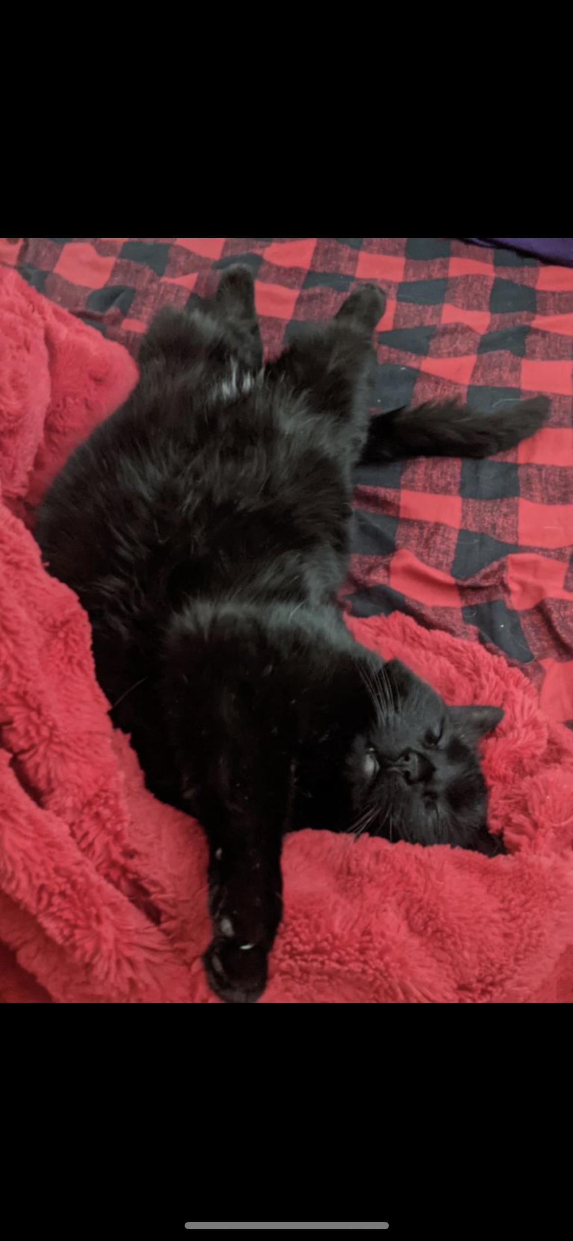 My sleepy void | Scrolller