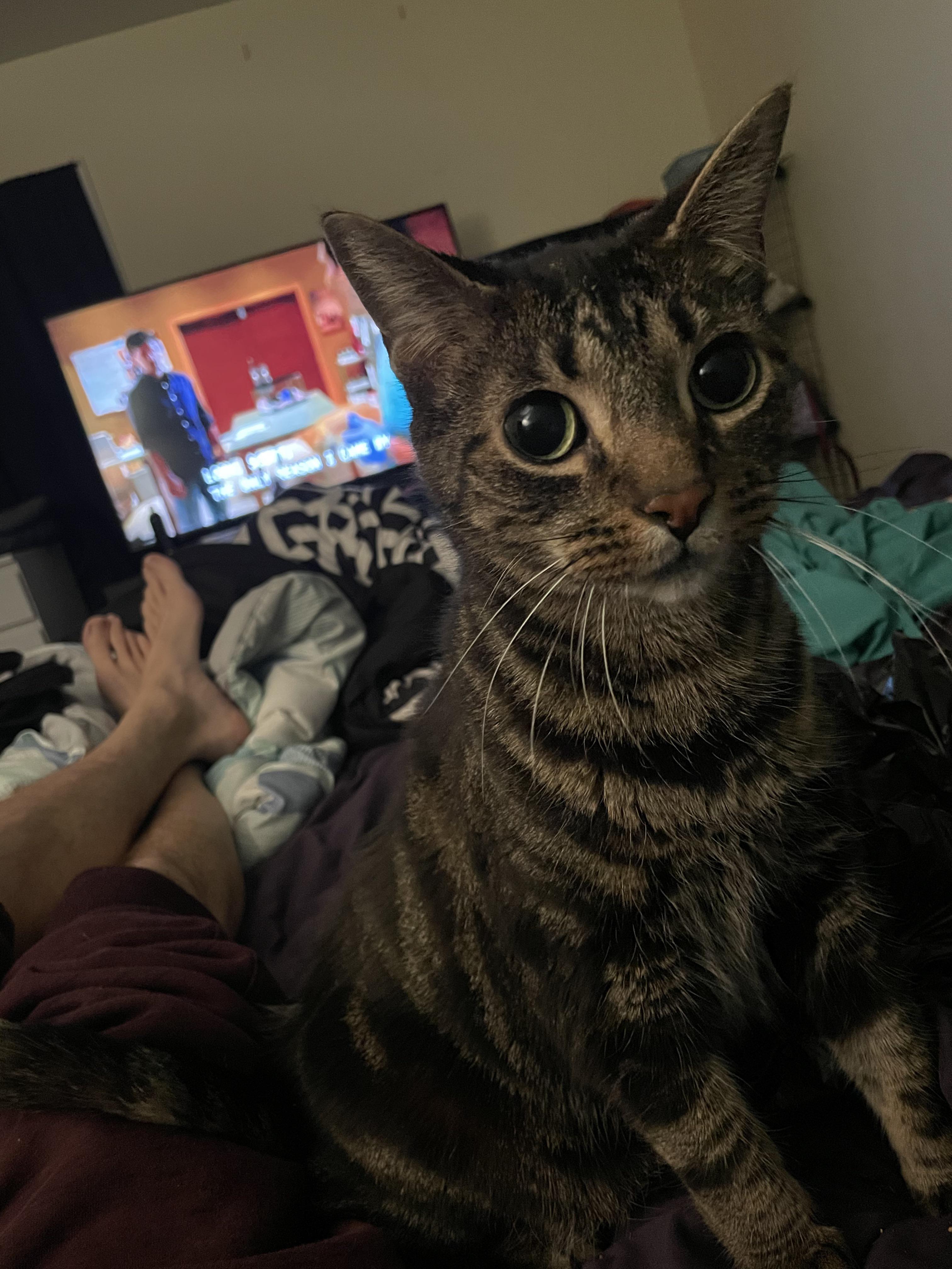 My Standard issue with them fish eye lenses. | Scrolller