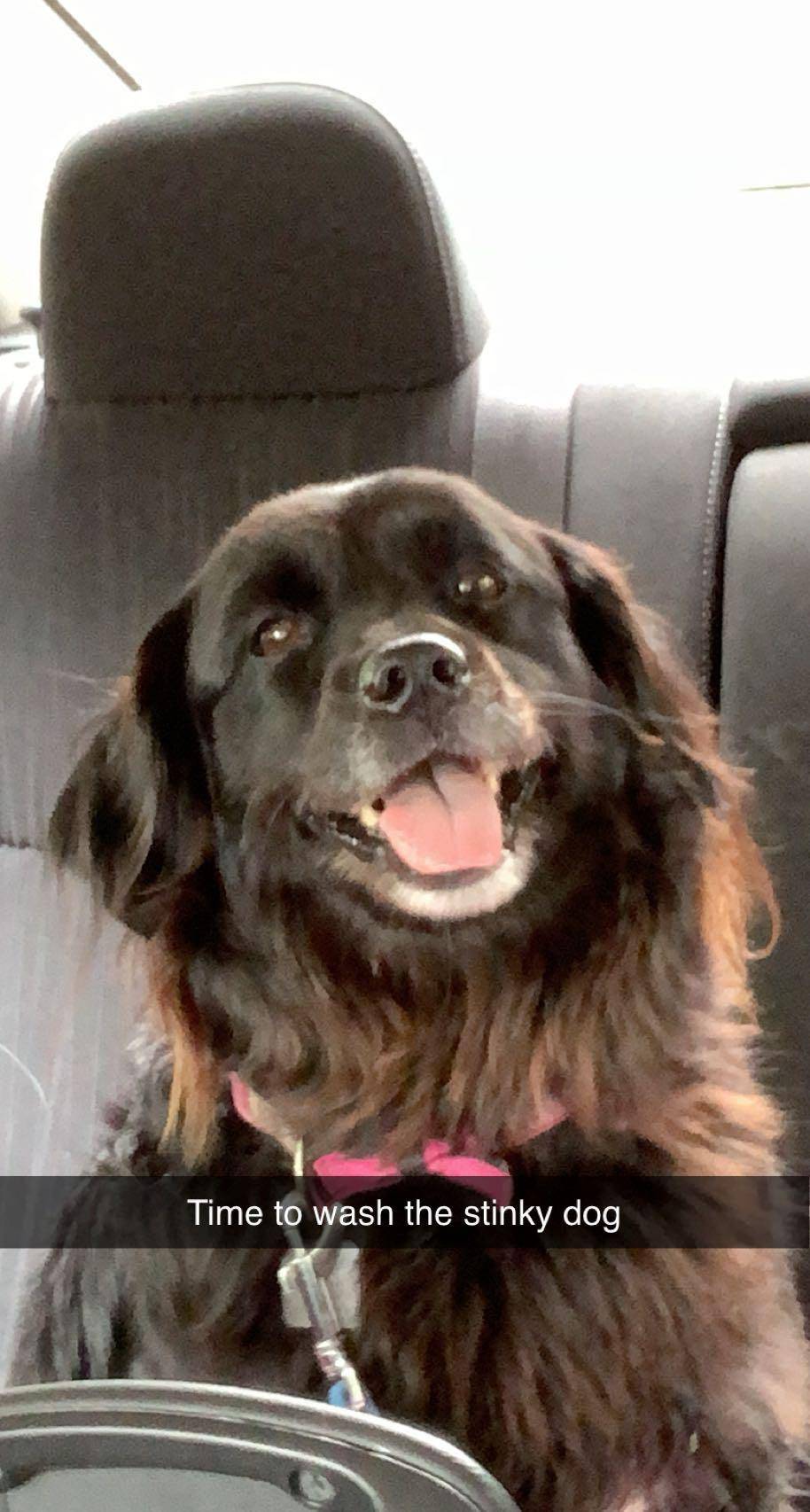 My stinky girl | Scrolller