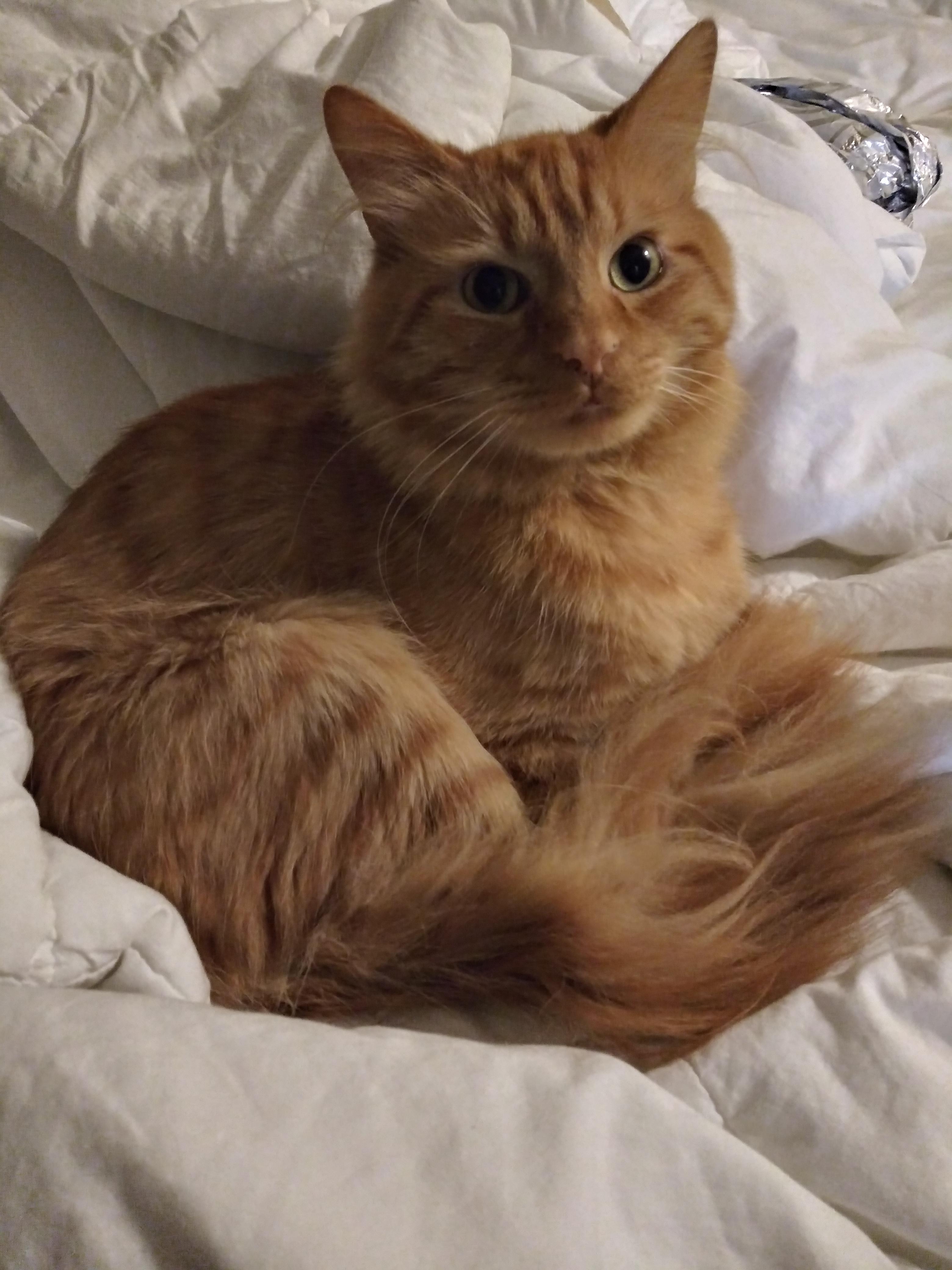 My sweet little Teddy bear | Scrolller