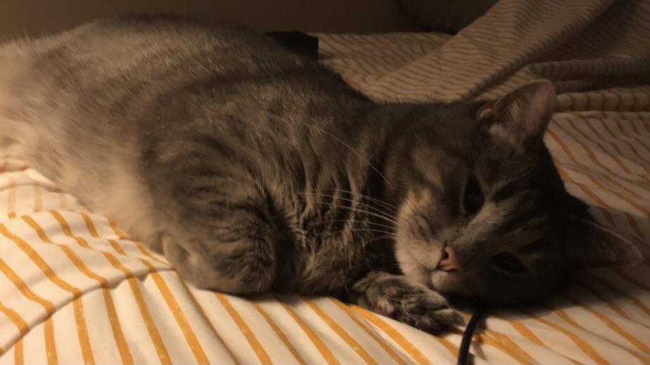 my sweet sleepy cloud prince | Scrolller