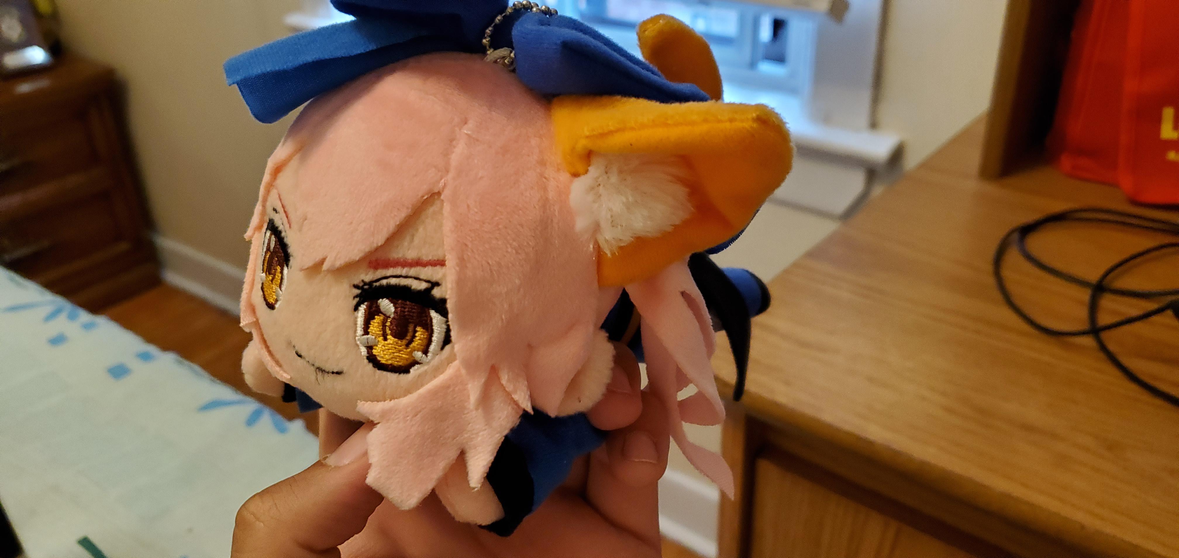 My Tamamo plush came In! | Scrolller