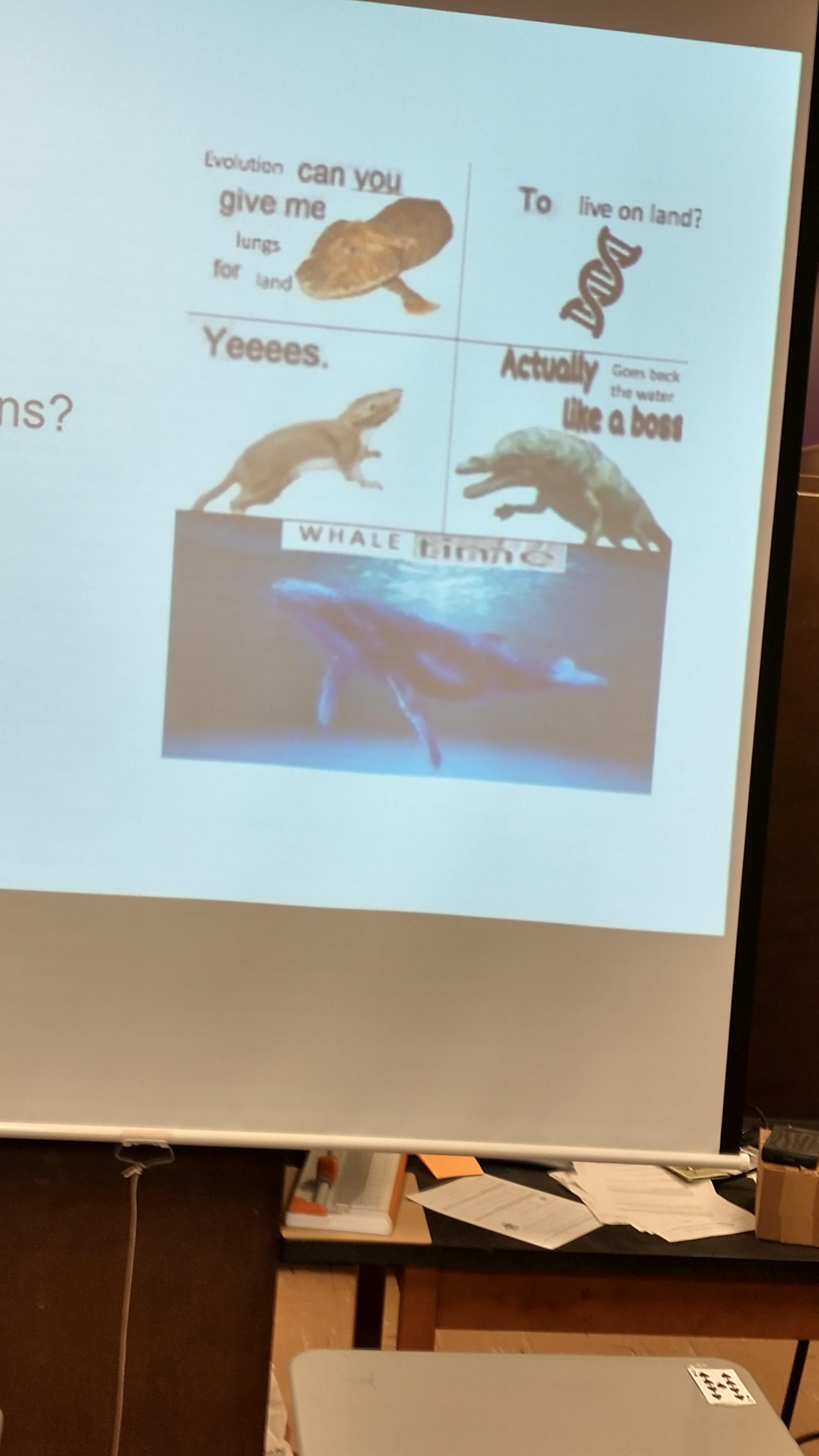 My teacher actually had a pretty decent meme in class today | Scrolller