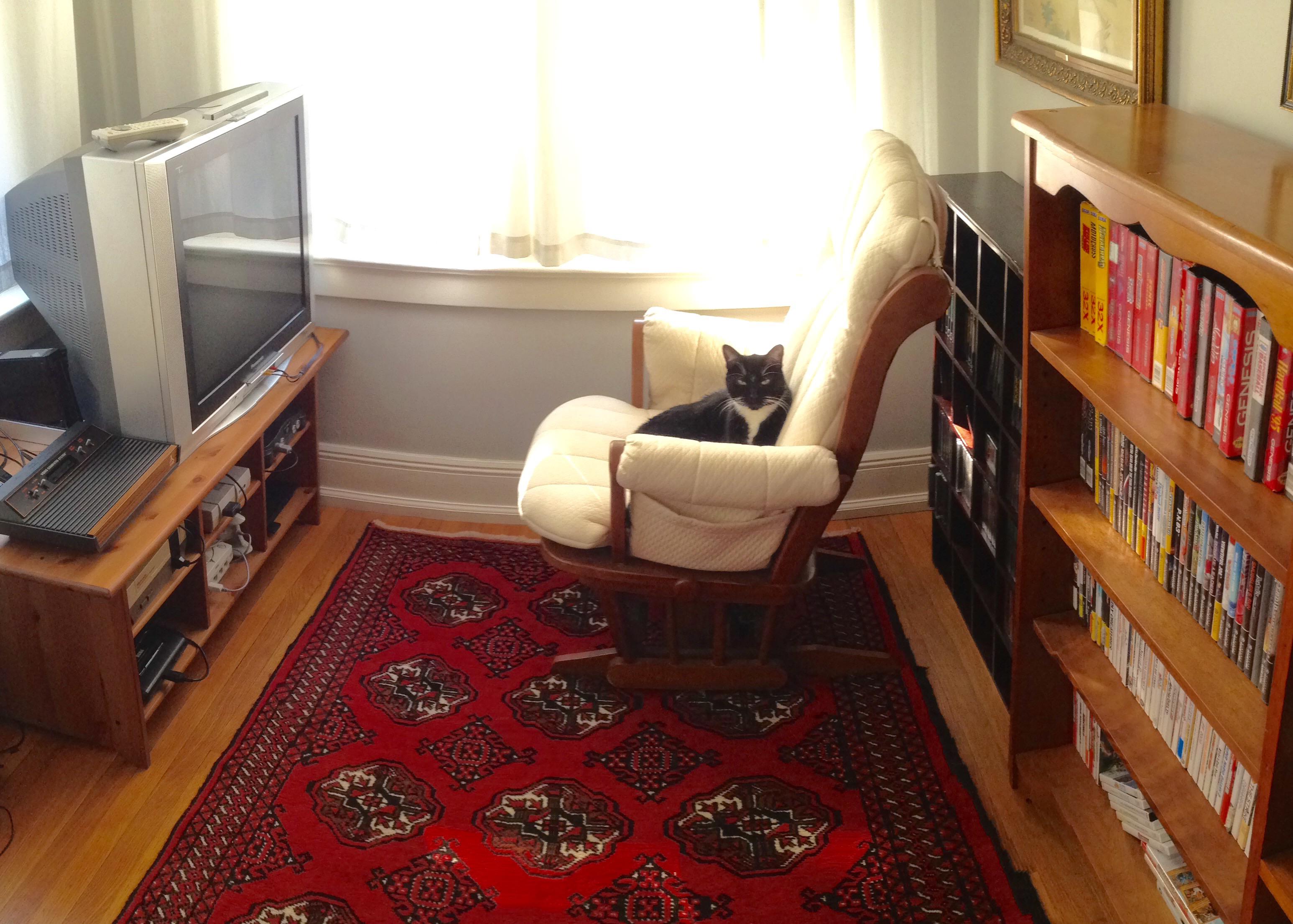 My throne room | Scrolller