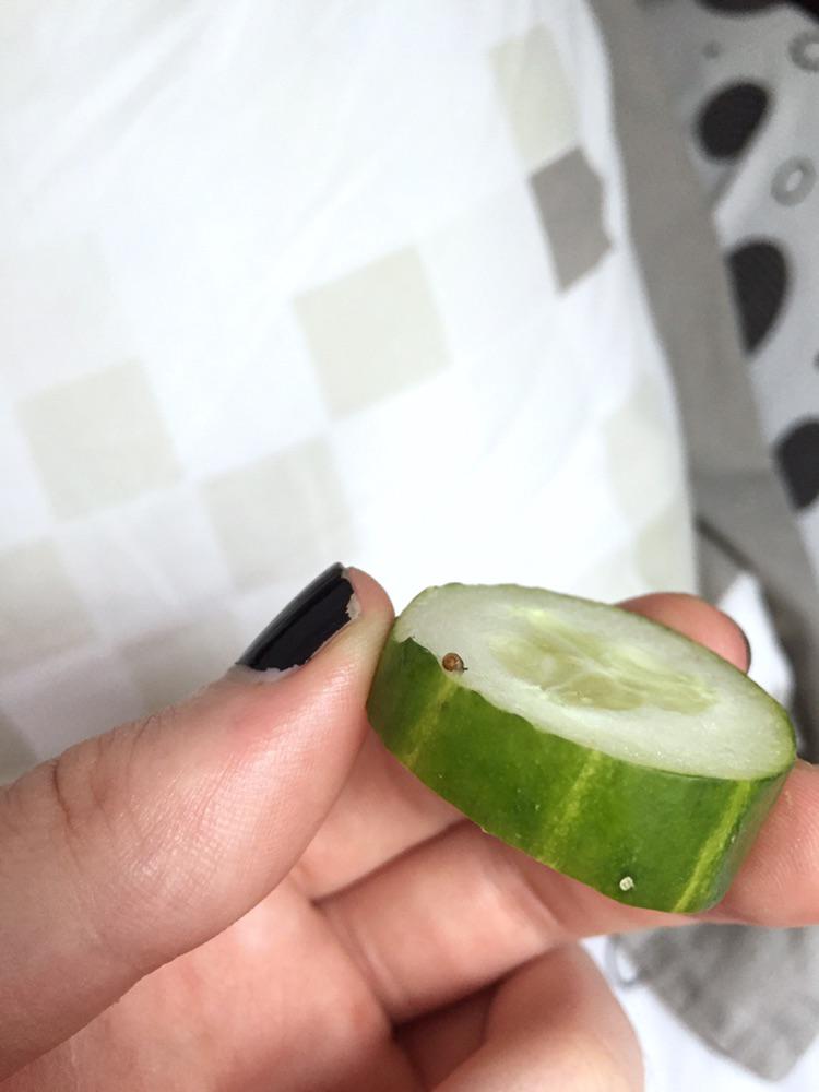 My tiny friend enjoining his cucumber | Scrolller
