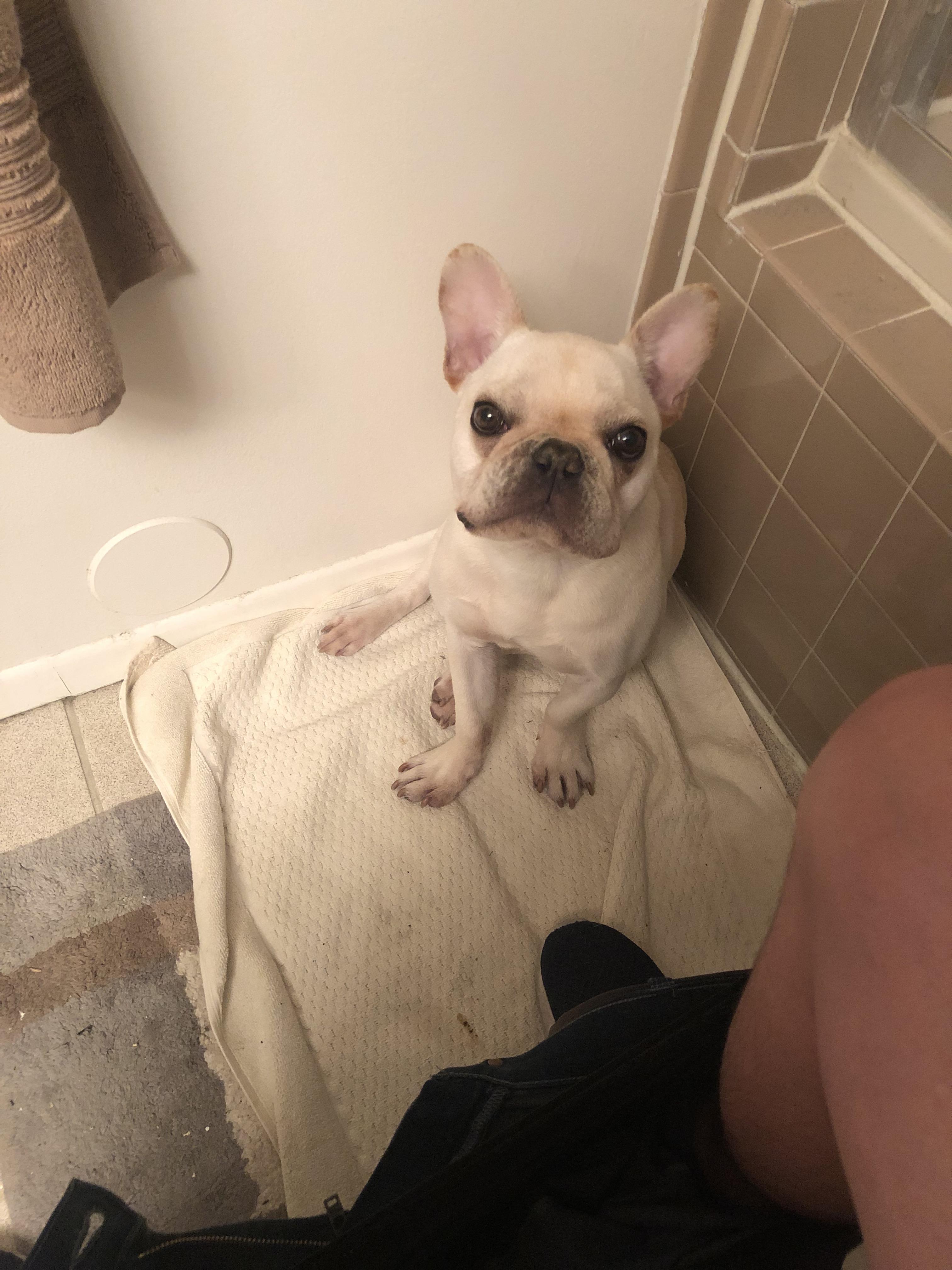 “My turn to watch YOU poop.” | Scrolller