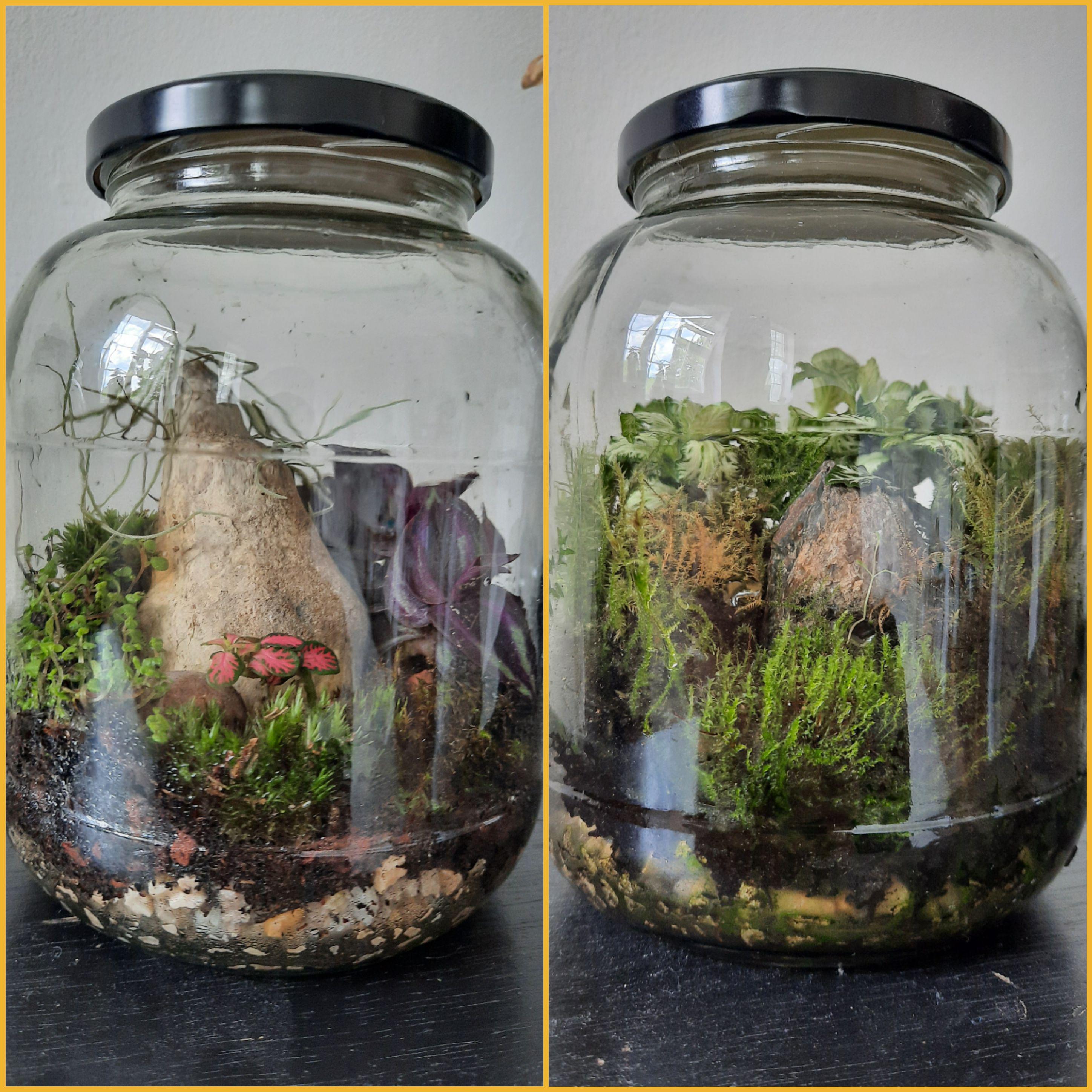 My Two Jars | Scrolller