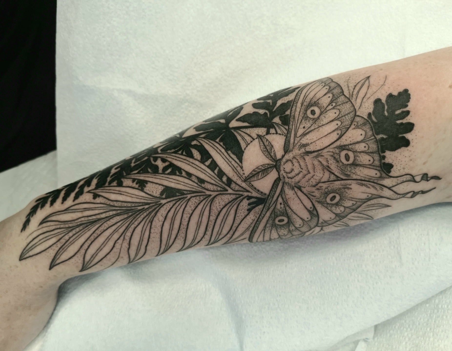 My version of Ellie's tattoo. Wanted something recognizable but still unique and more my style ...