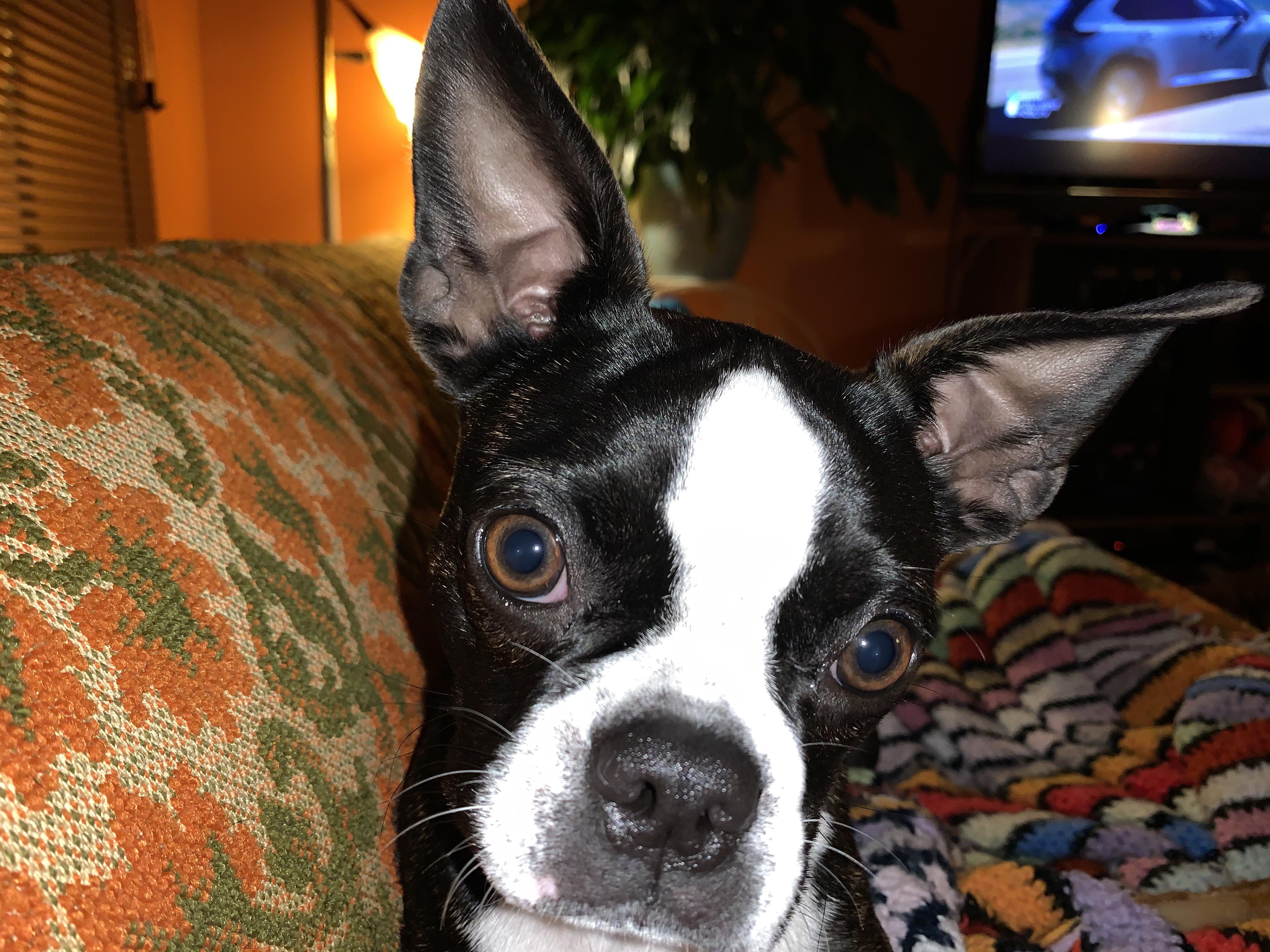 My Winnie | Scrolller