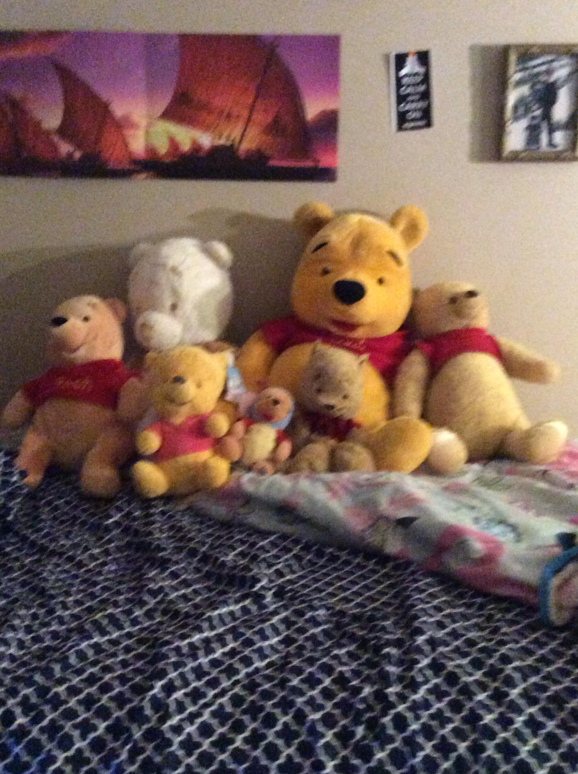 My Winnie the Pooh stuffed animal collection | Scrolller