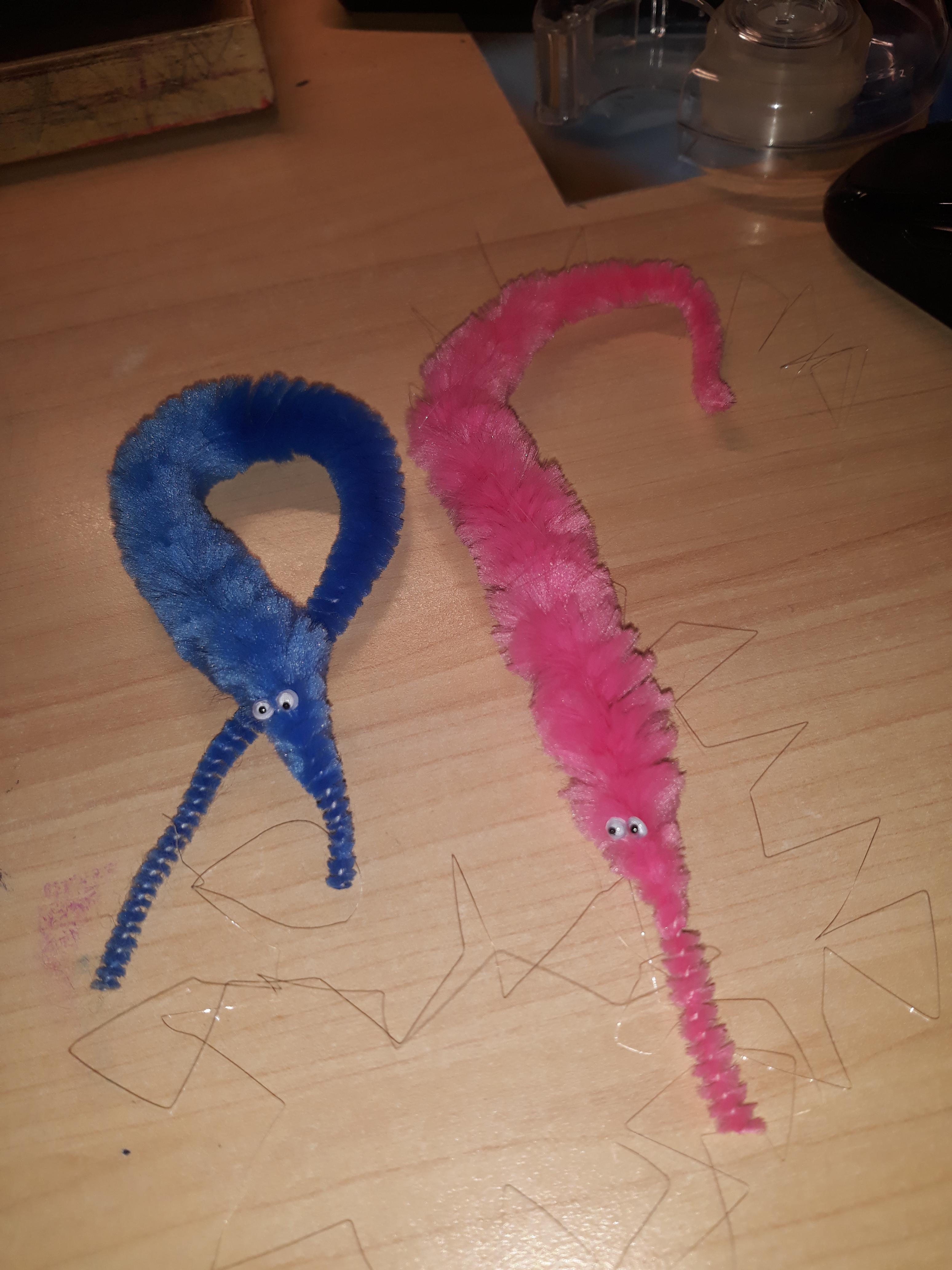 My worms, Danny and Shrimp! | Scrolller