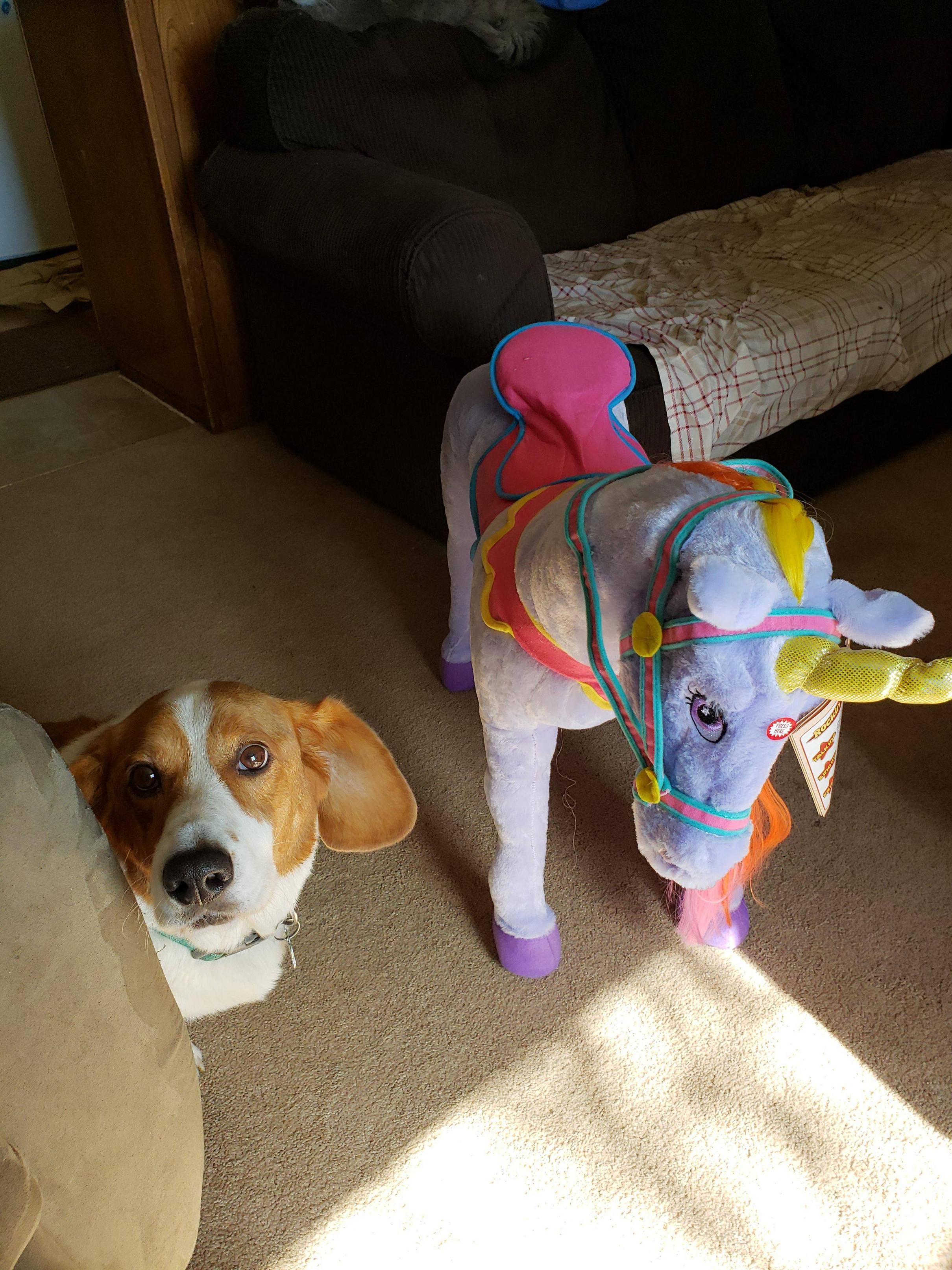 Mythical Creature and a Unicorn | Scrolller