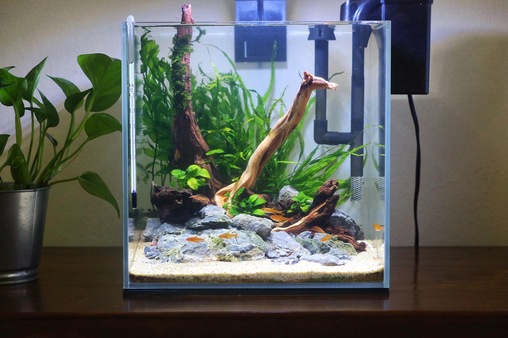 Nano cube | Scrolller