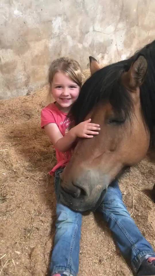 Nap time (x-post from /r/aww) | Scrolller