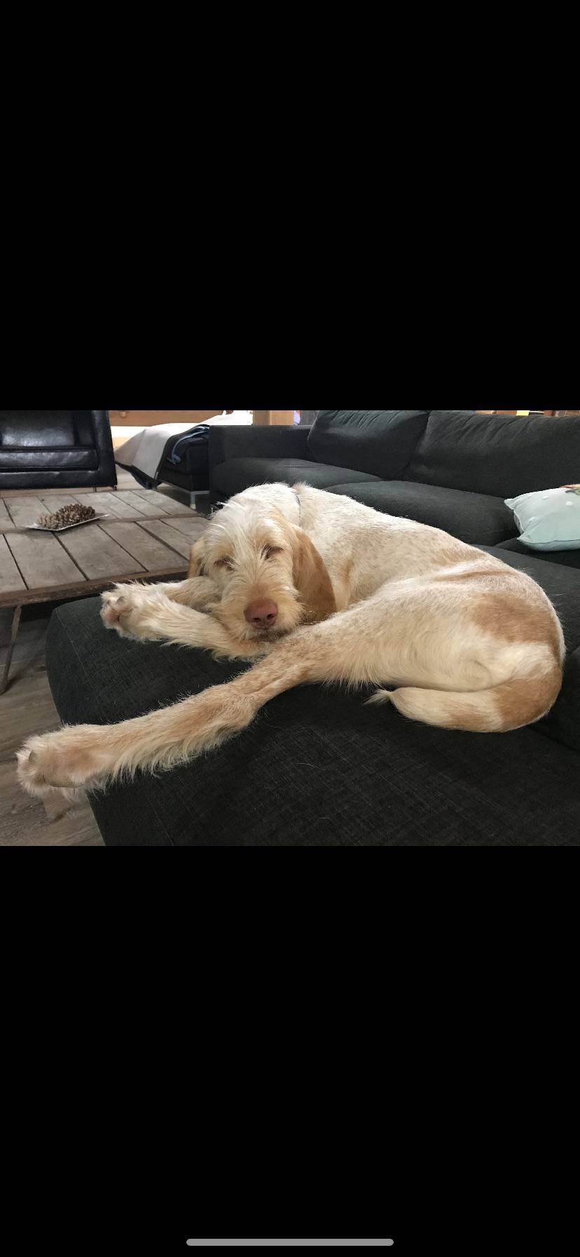 Naps after hiking | Scrolller