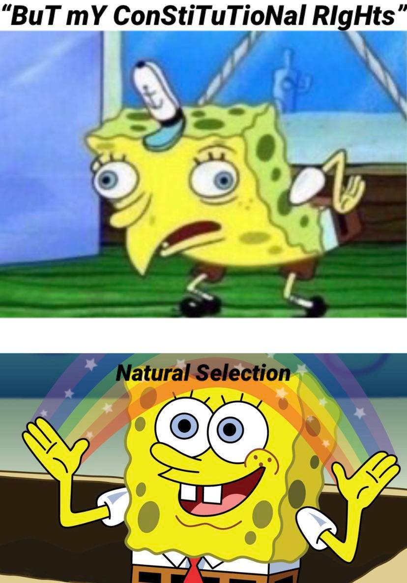 Natural Selection at its finest 🤷🏼‍♀️ | Scrolller