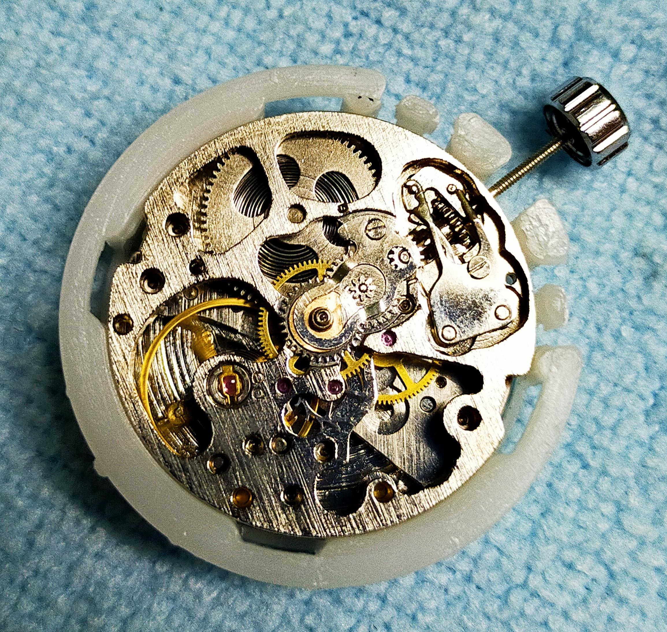 Need help with identification of generic movement | Scrolller