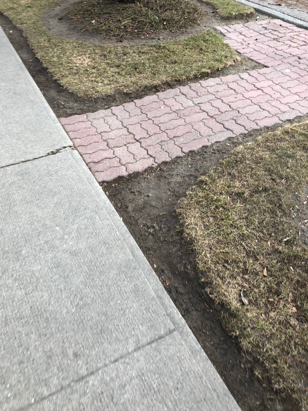 Neighbours ultra aggressive edging. | Scrolller