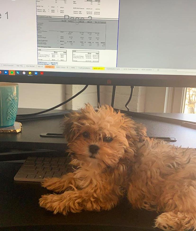 Nervous for the first groom! | Scrolller