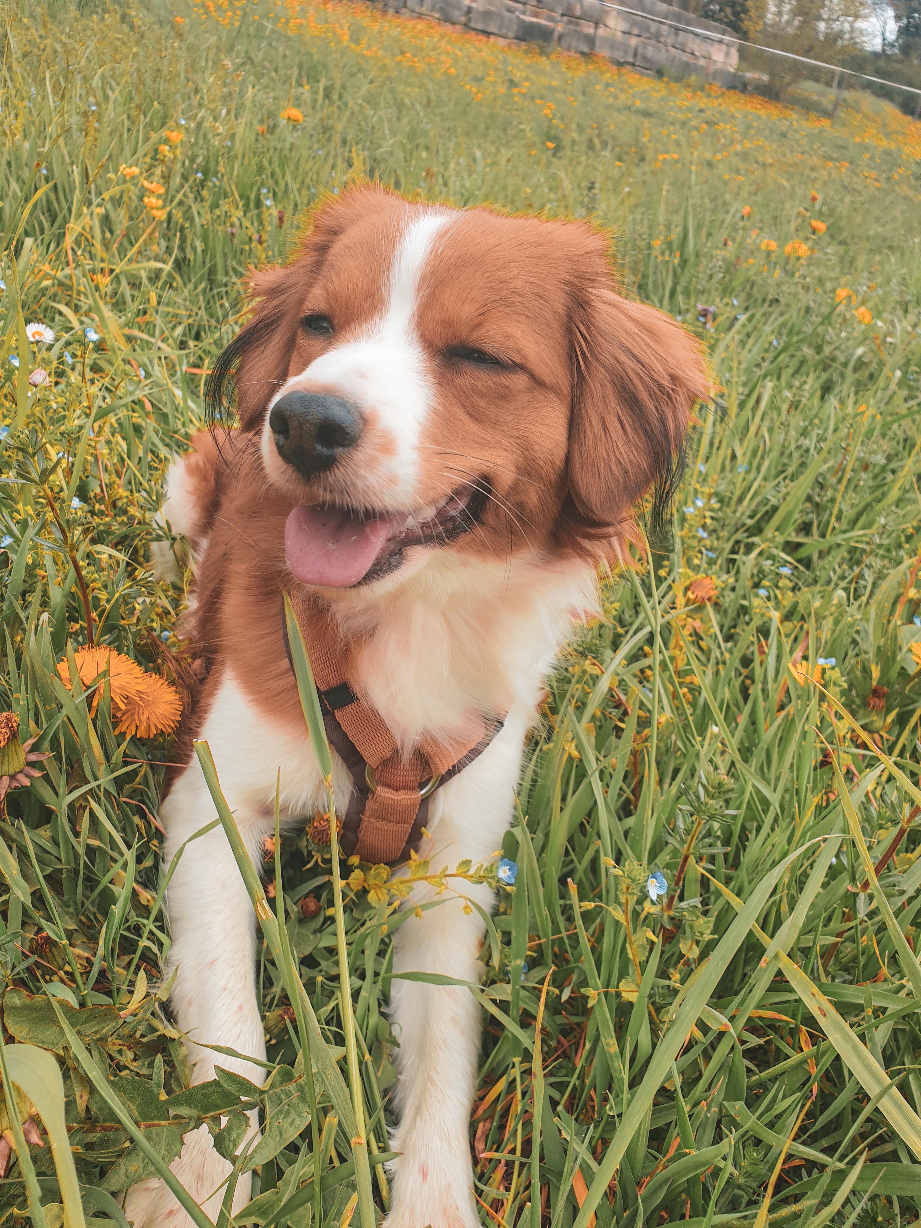 Never stop smiling 😁 | Scrolller